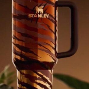 Tyla X STANLEY Collab 40 OZ Tumbler NIB - Etsy