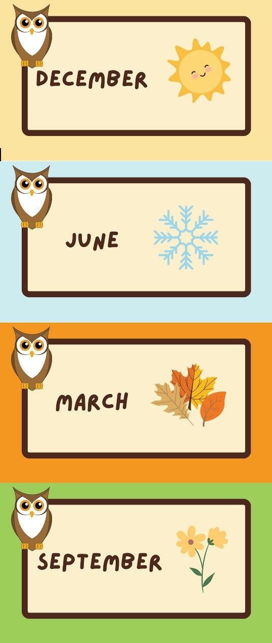 Smart Owls Classroom Decor Pack - Etsy