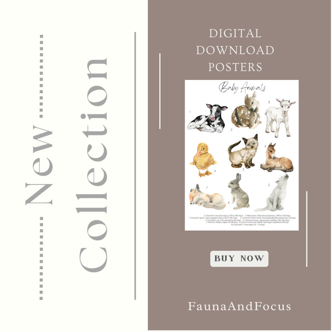 Baby Animals Zoological Watercolor Poster With Names, Scientific Names ...