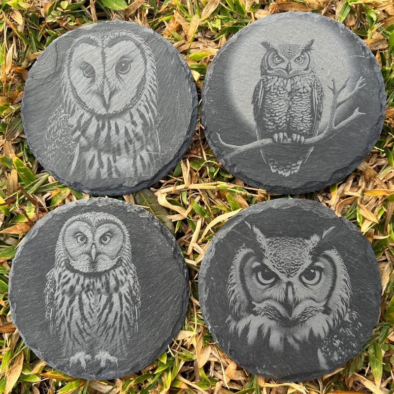 Owl Coasters - Etsy