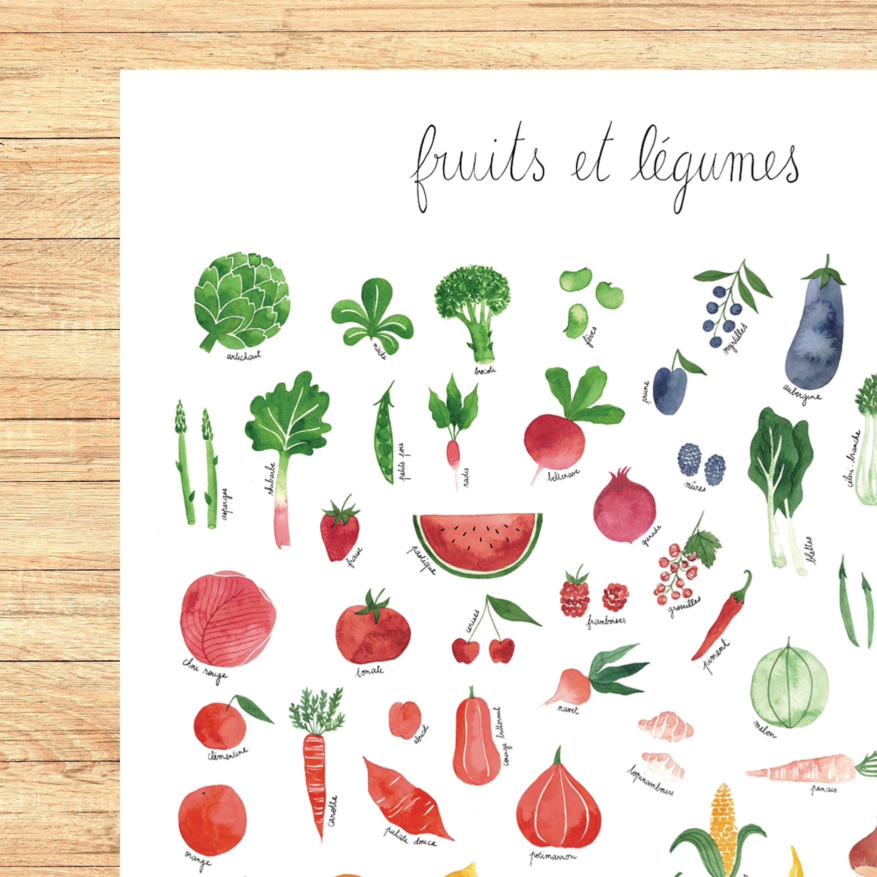 Fruits and Vegetables L - Watercolor Picture Poster - Etsy