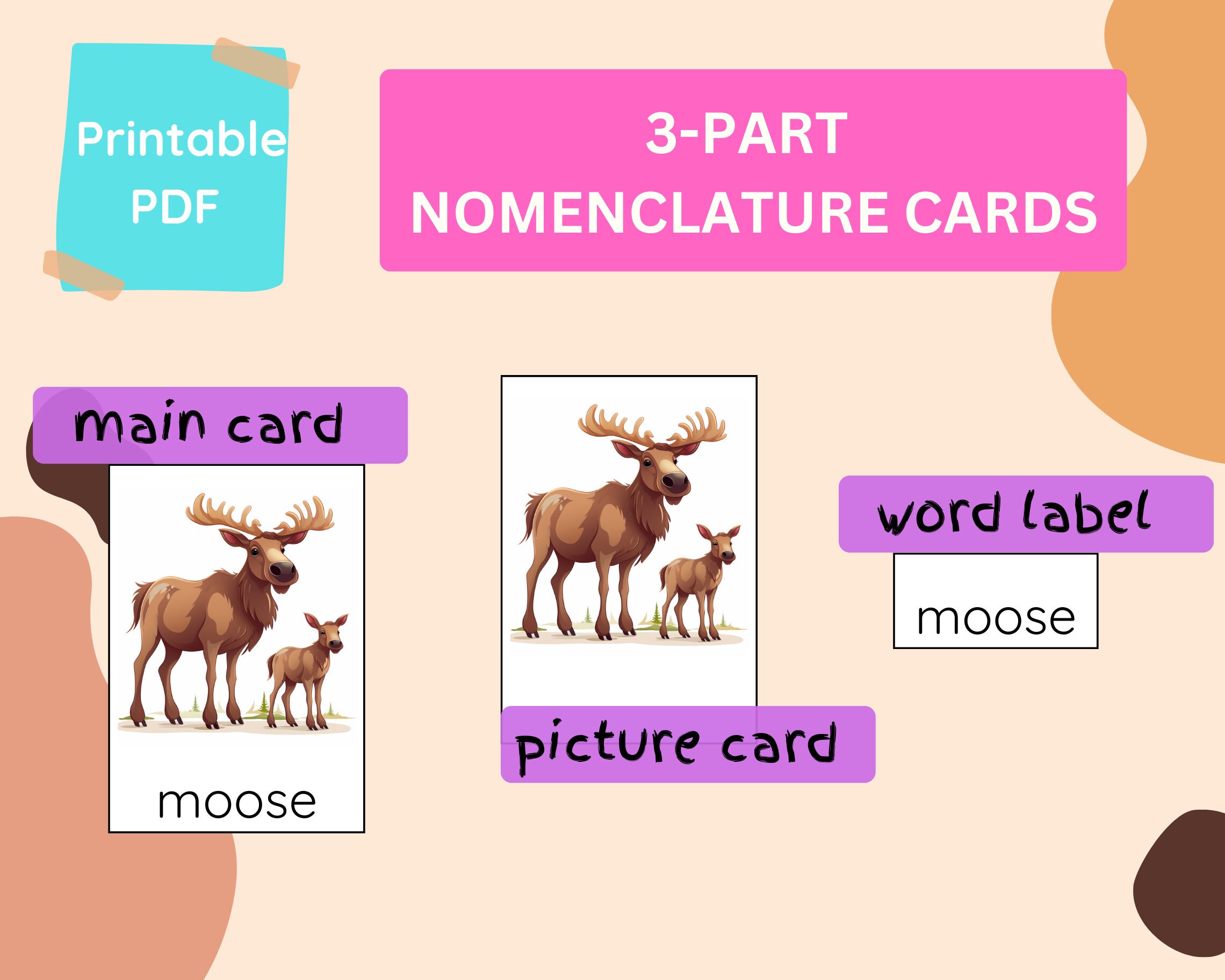 56 Animal Flash Cards, Montessori Cards, Nomenclature Flash Cards, PDF ...