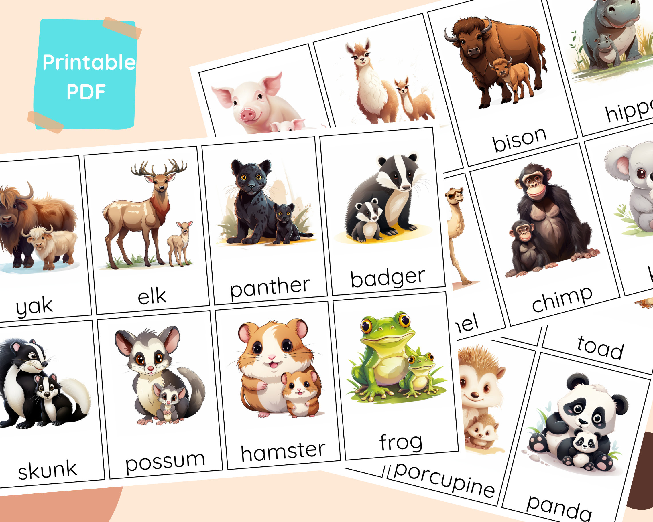 56 Animal Flash Cards, Montessori Cards, Nomenclature Flash Cards, PDF ...