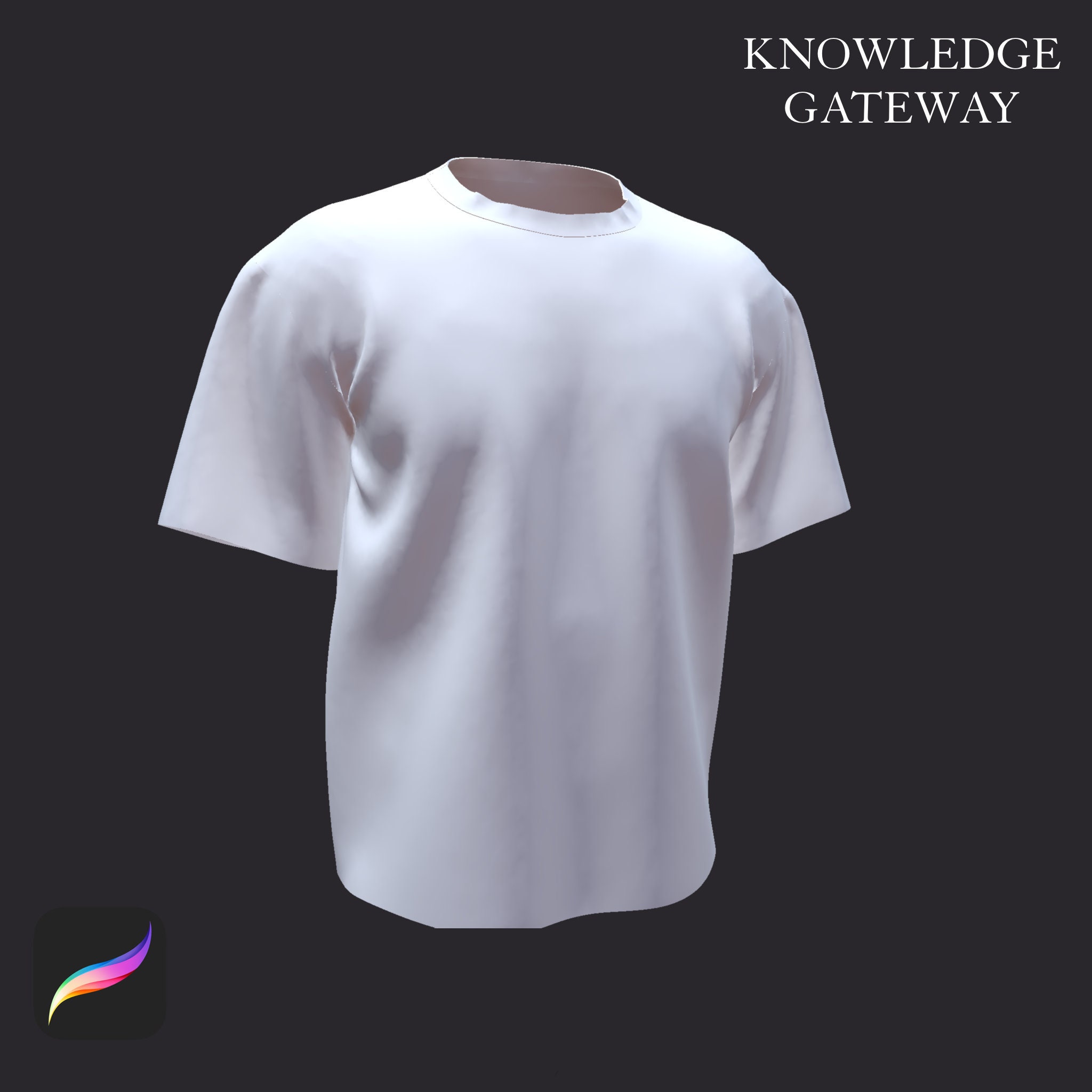 Ultimate Procreate Vector Mockup Fashion and Clothing Edition - Etsy