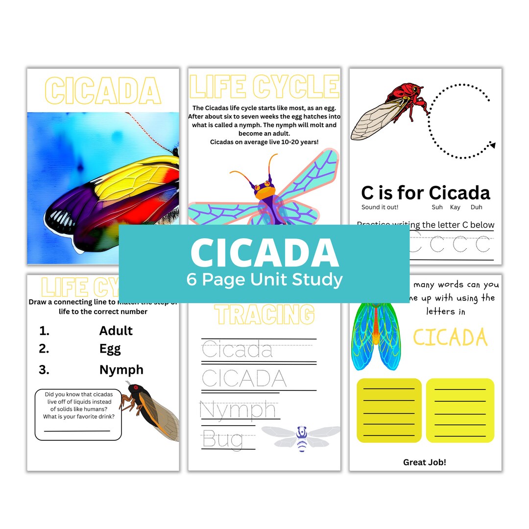 Cicada-themed Printable Activity Pack: Writing Coloring - Etsy