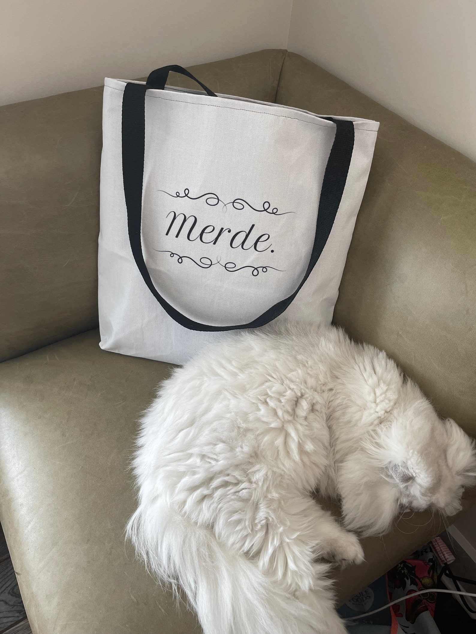 Ballet Tote Bag Merde Dance Bag Ballet Humor French Word Good Luck Gift ...