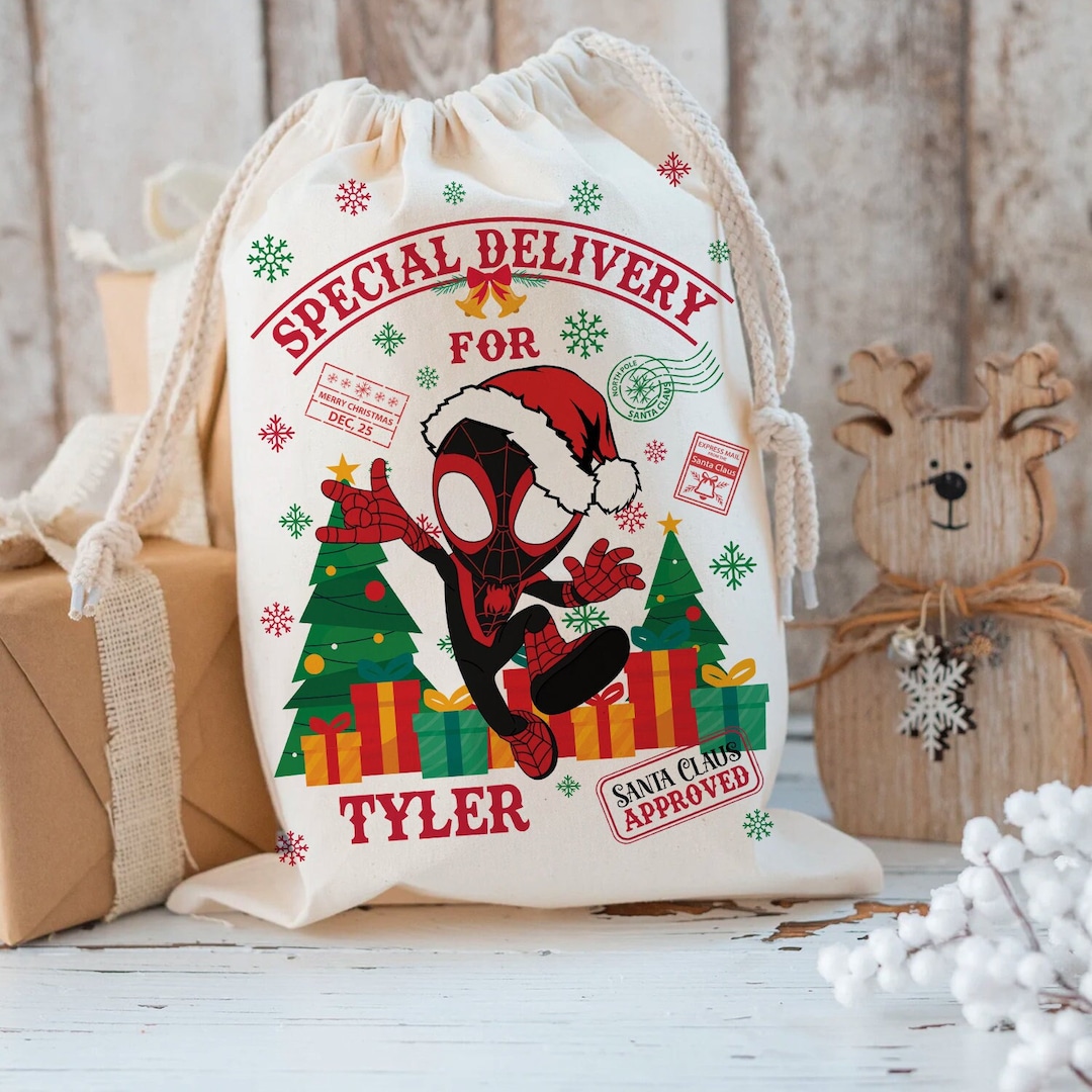 Personalized Spidey and His Amazing Friends Christmas Sack, Disney ...