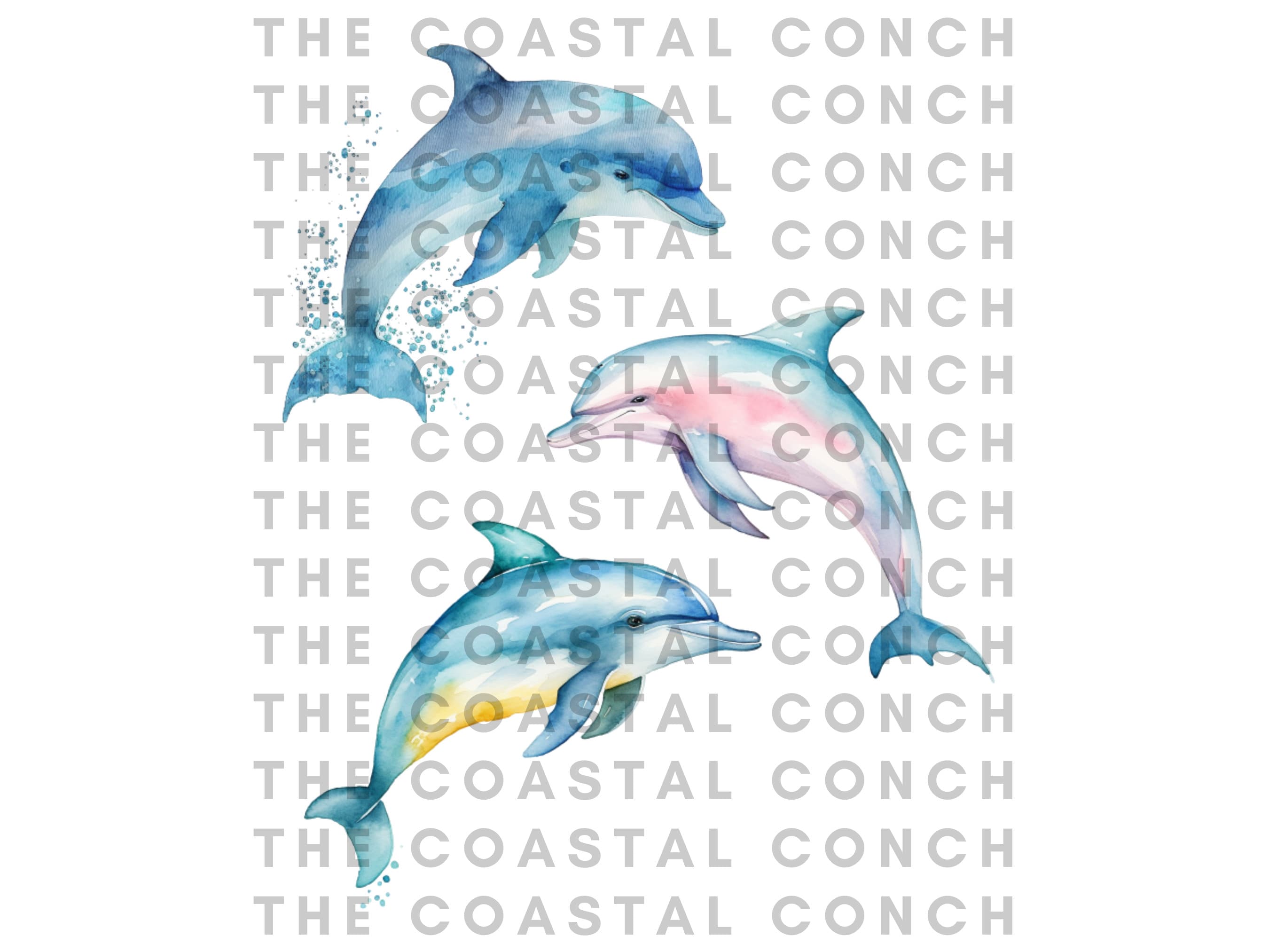 Colorful Watercolor Dolphin Clipart- 30 Transparent Background PNG ...