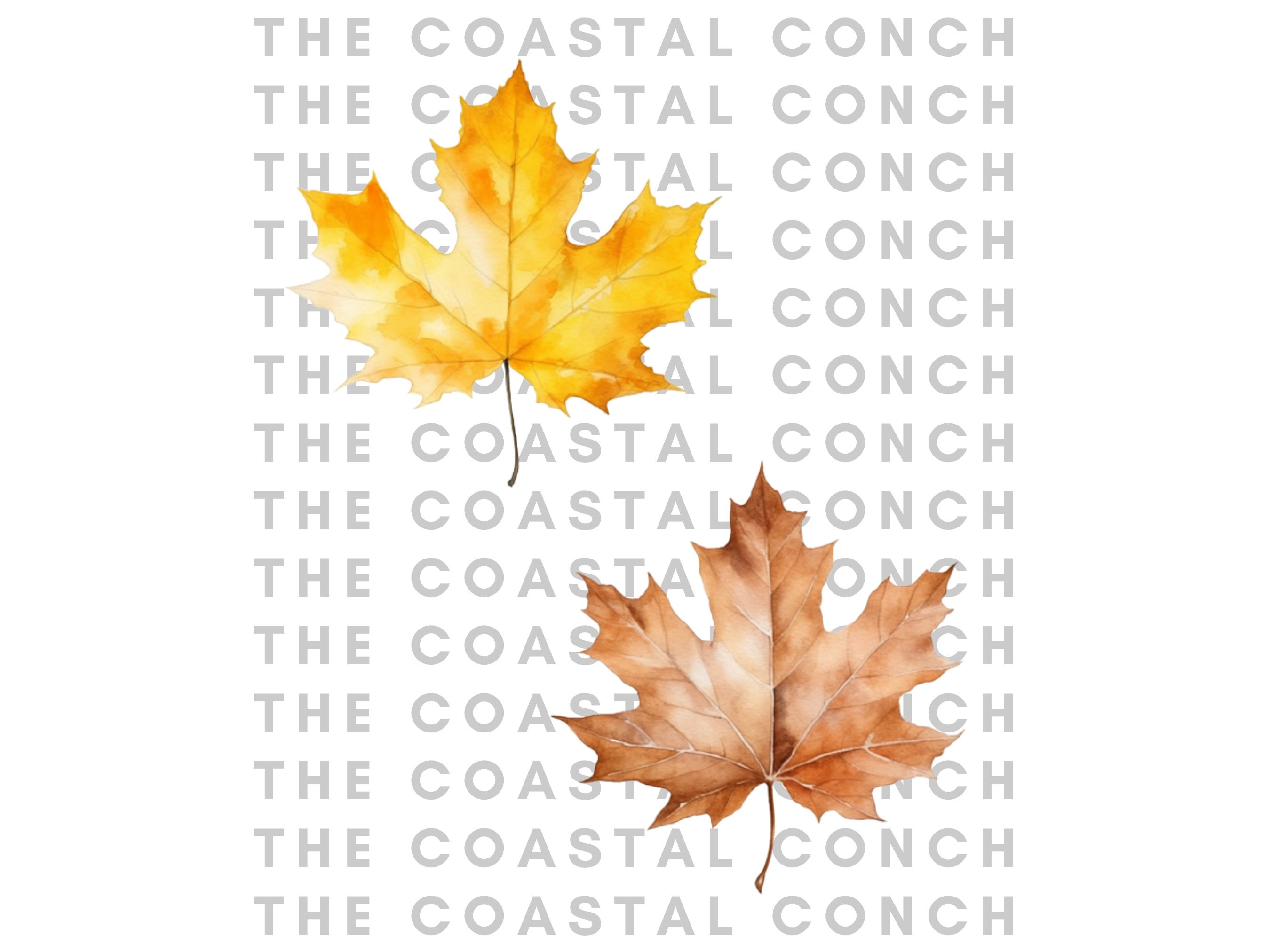 Autumn Watercolor Leaves Clipart- 20 Transparent Background PNG ...