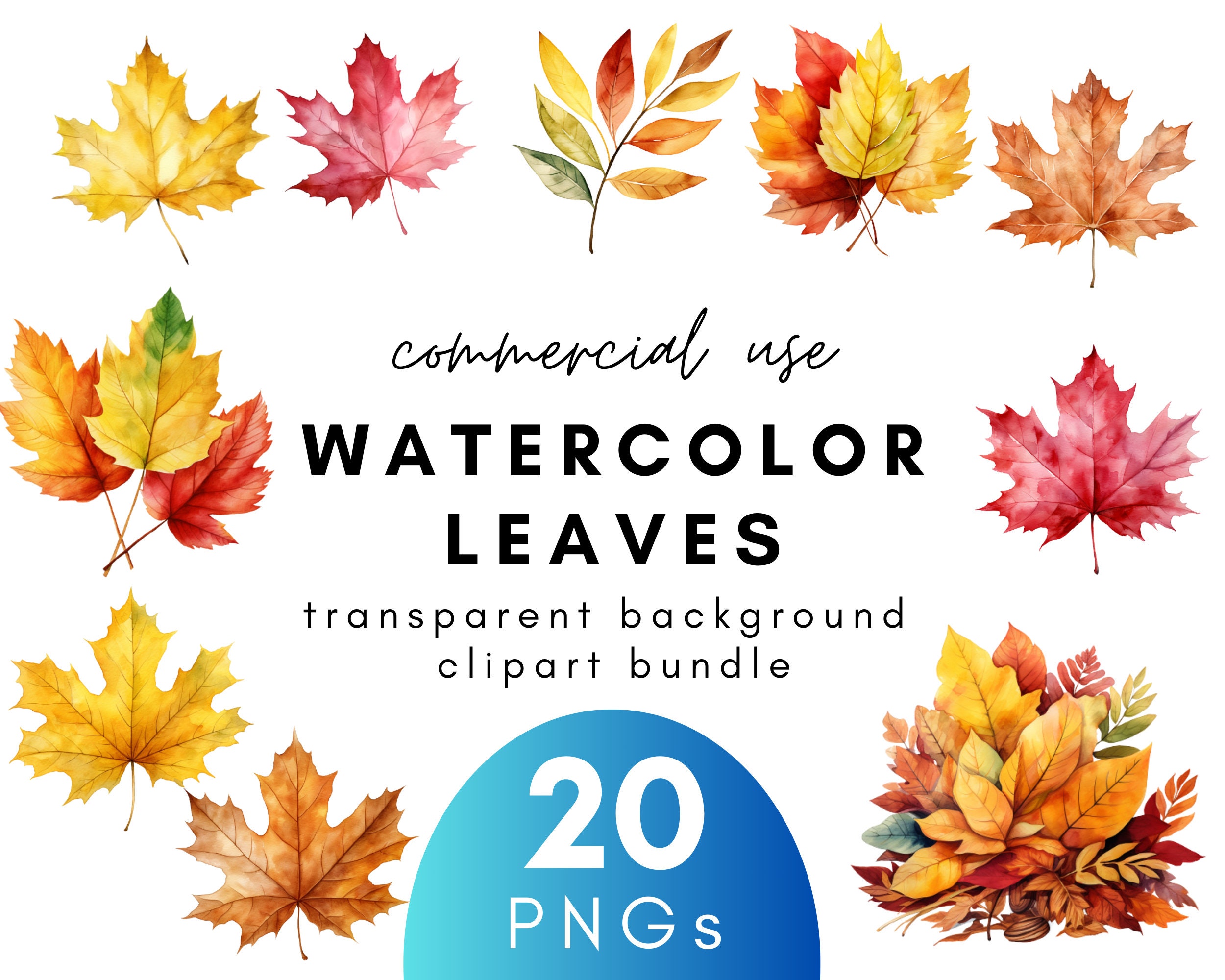 Autumn Watercolor Leaves Clipart- 20 Transparent Background PNG ...