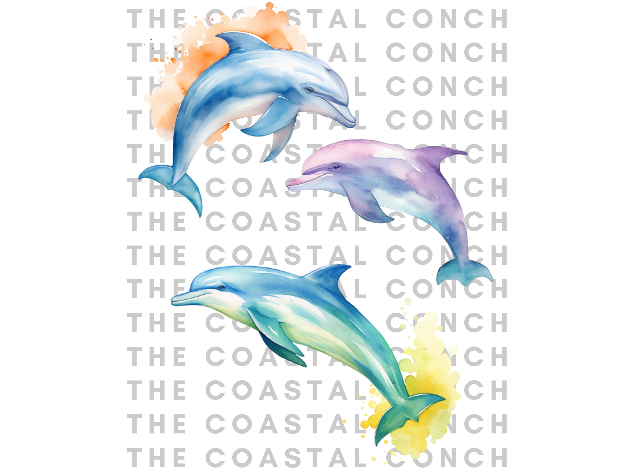 Colorful Watercolor Dolphin Clipart- 30 Transparent Background PNG ...