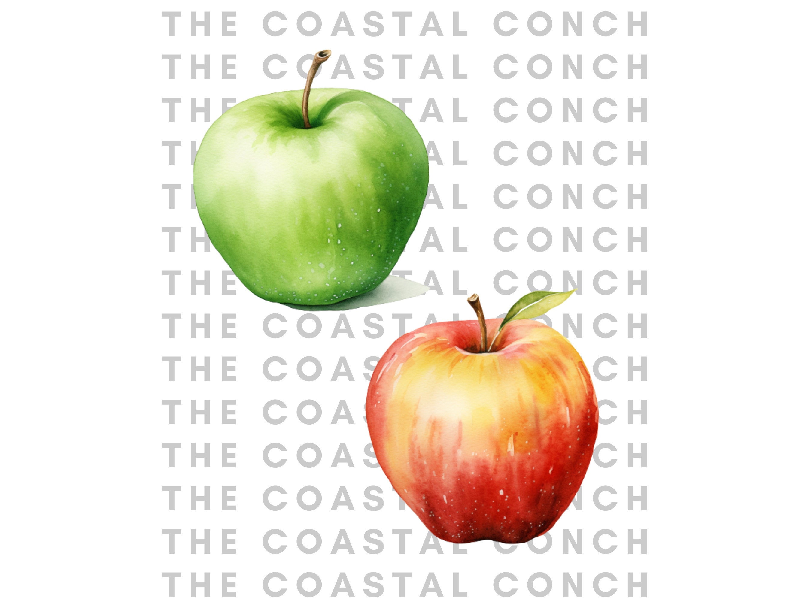 Autumn Watercolor Apple Clipart- 20 Transparent Background PNG ...