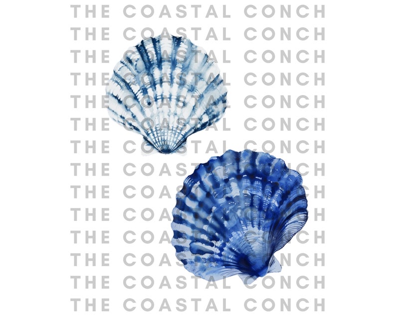 Nautical Watercolor Shell Clipart- 20 Transparent Background PNG ...