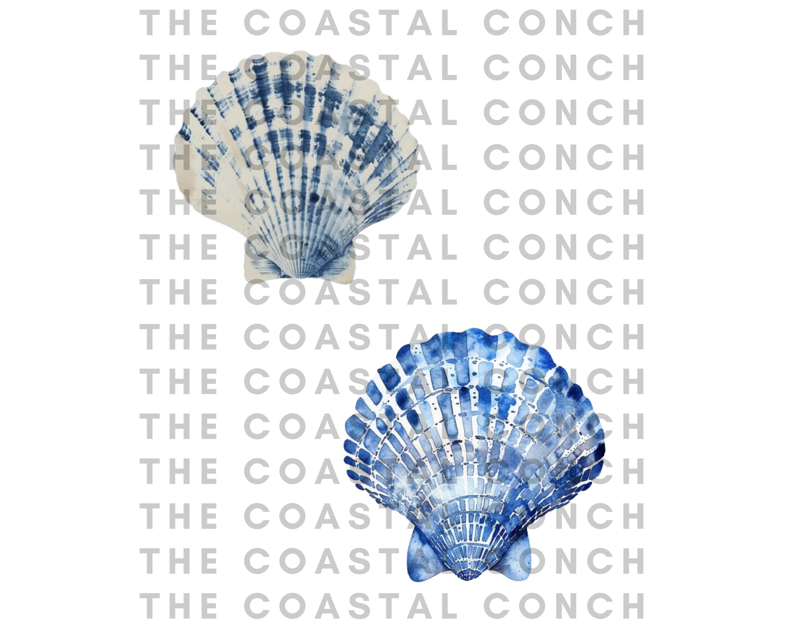 Nautical Watercolor Shell Clipart- 20 Transparent Background PNG ...