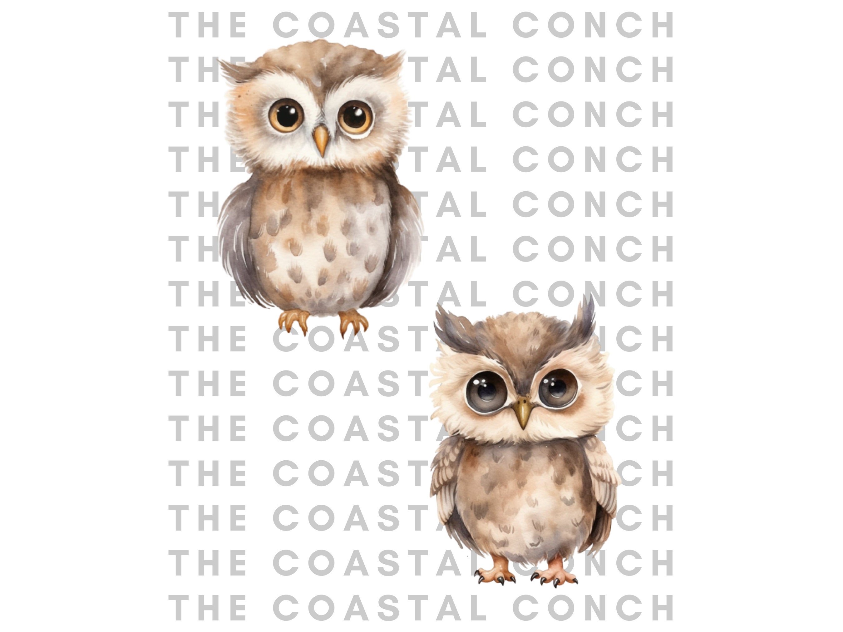 Cute Watercolor Owl Clipart- 20 Transparent Background PNG Commercial ...