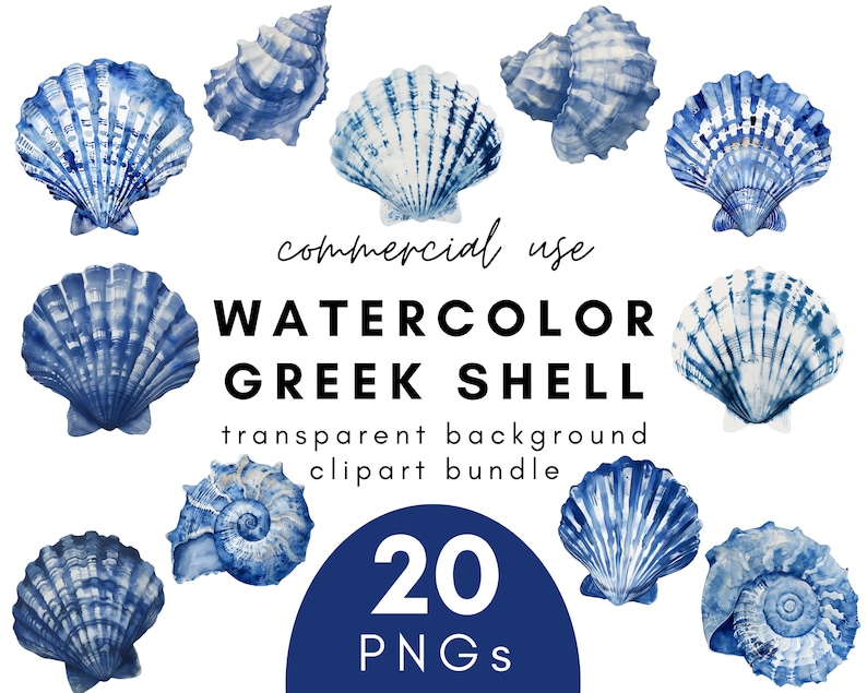 Nautical Watercolor Shell Clipart- 20 Transparent Background PNG ...