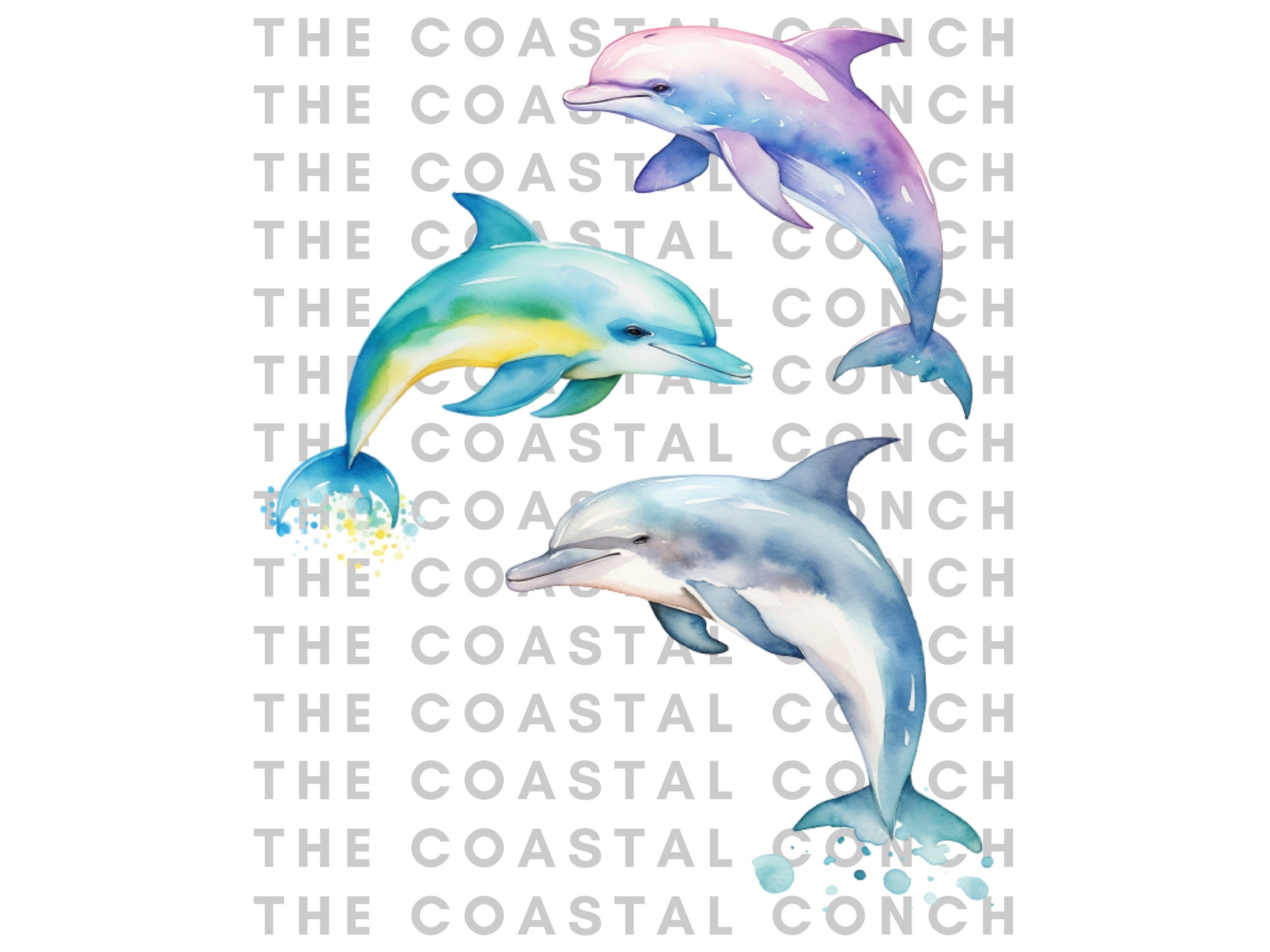 Colorful Watercolor Dolphin Clipart- 30 Transparent Background PNG ...