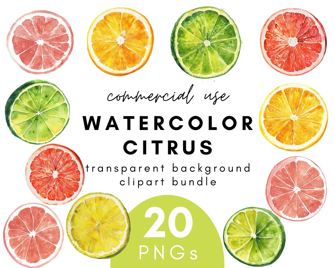 Colorful Watercolor Citrus Clipart- 20 Transparent Background PNG ...