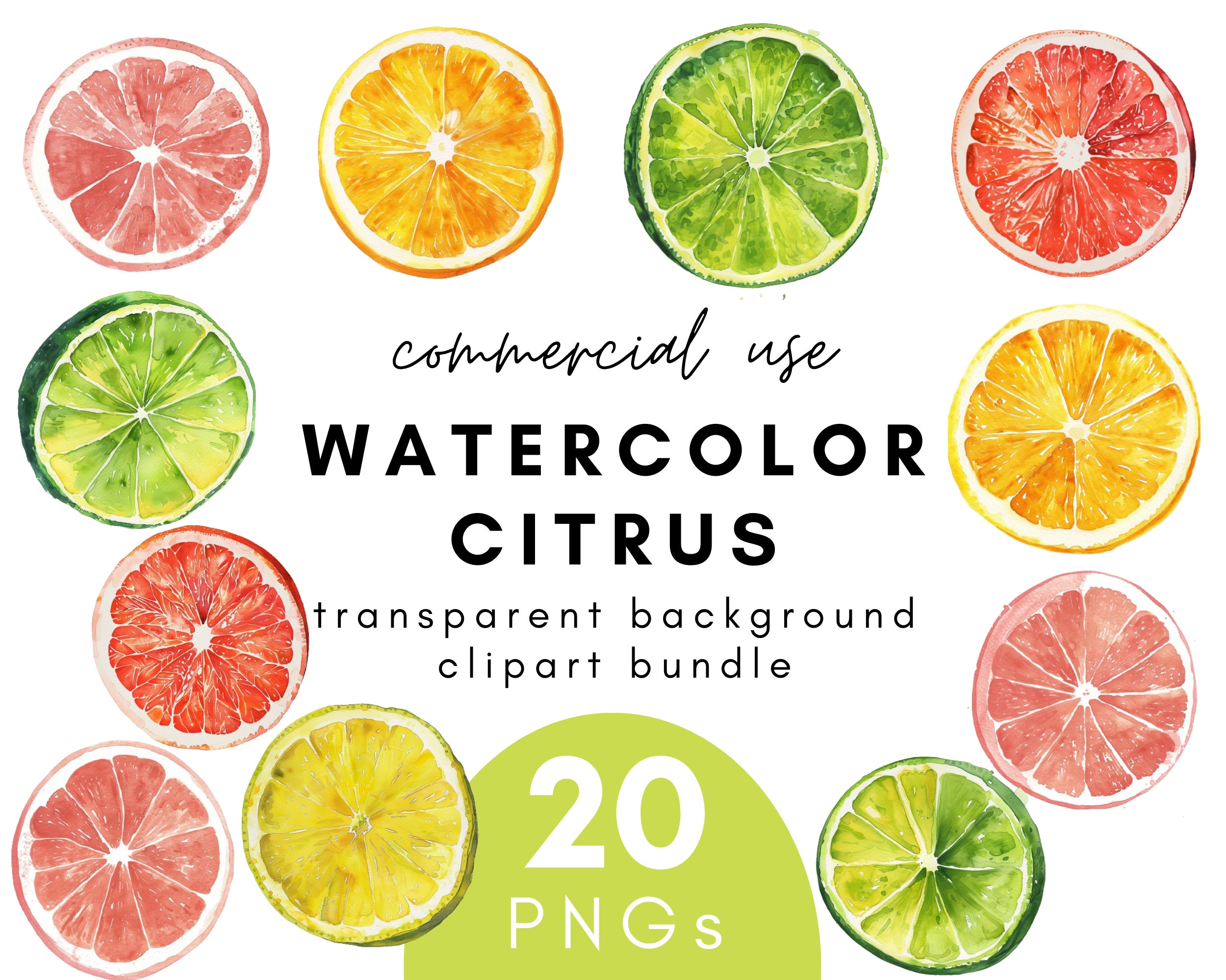Colorful Watercolor Citrus Clipart- 20 Transparent Background PNG ...
