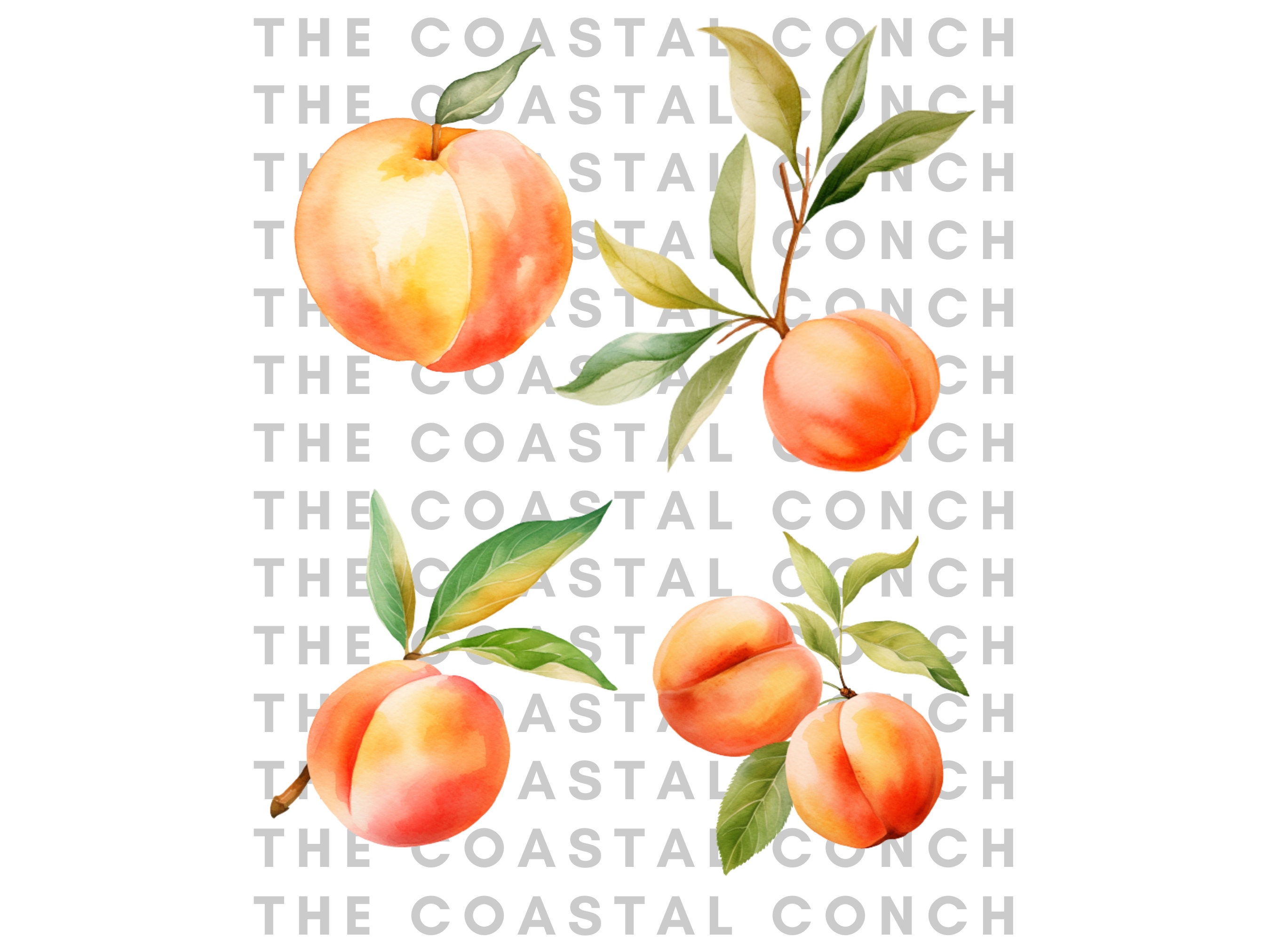 Fruity Watercolor Peach Clipart- 20 Transparent Background PNG ...