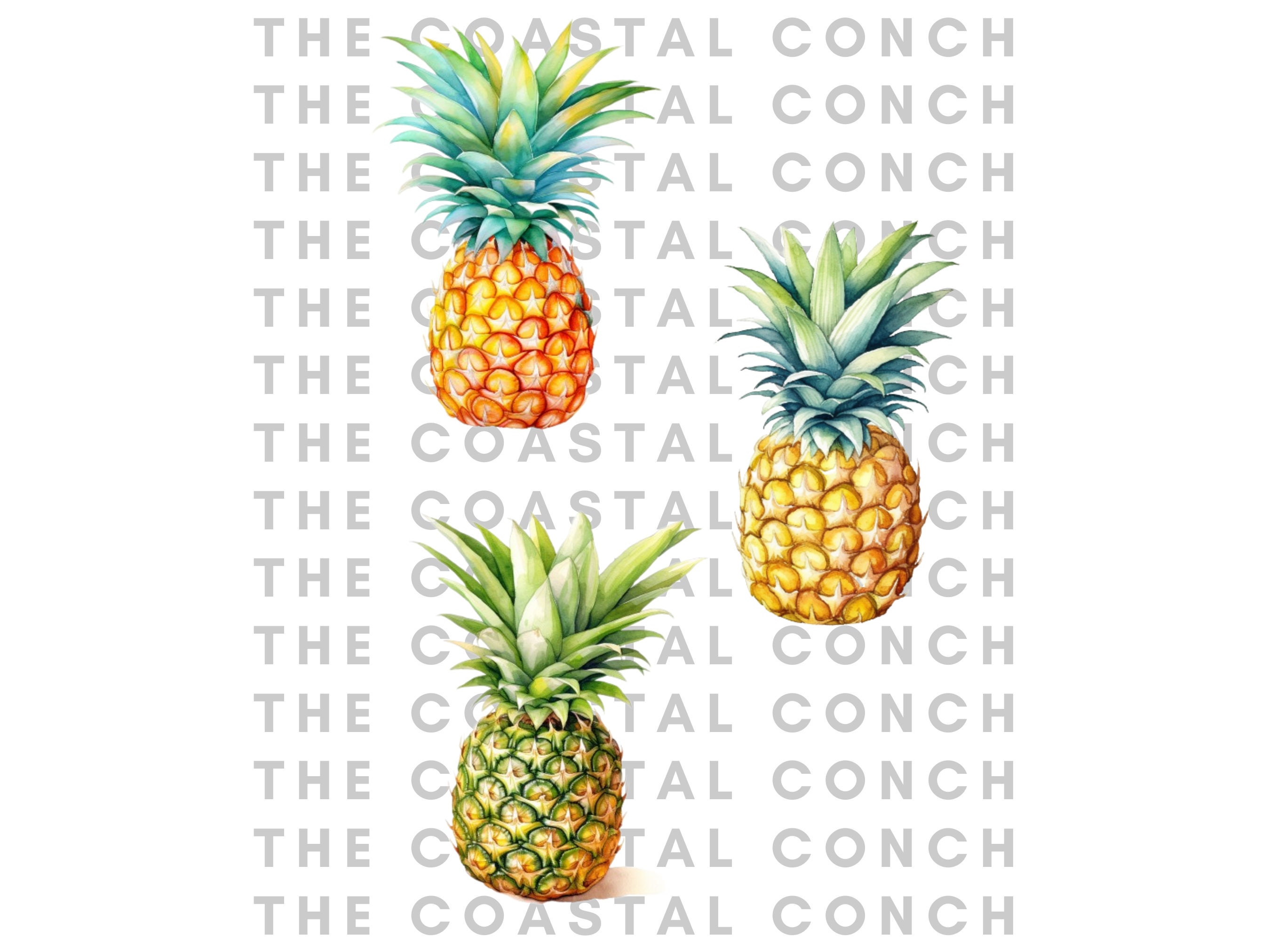 Fruity Watercolor Pineapple Clipart- 20 Transparent Background PNG ...