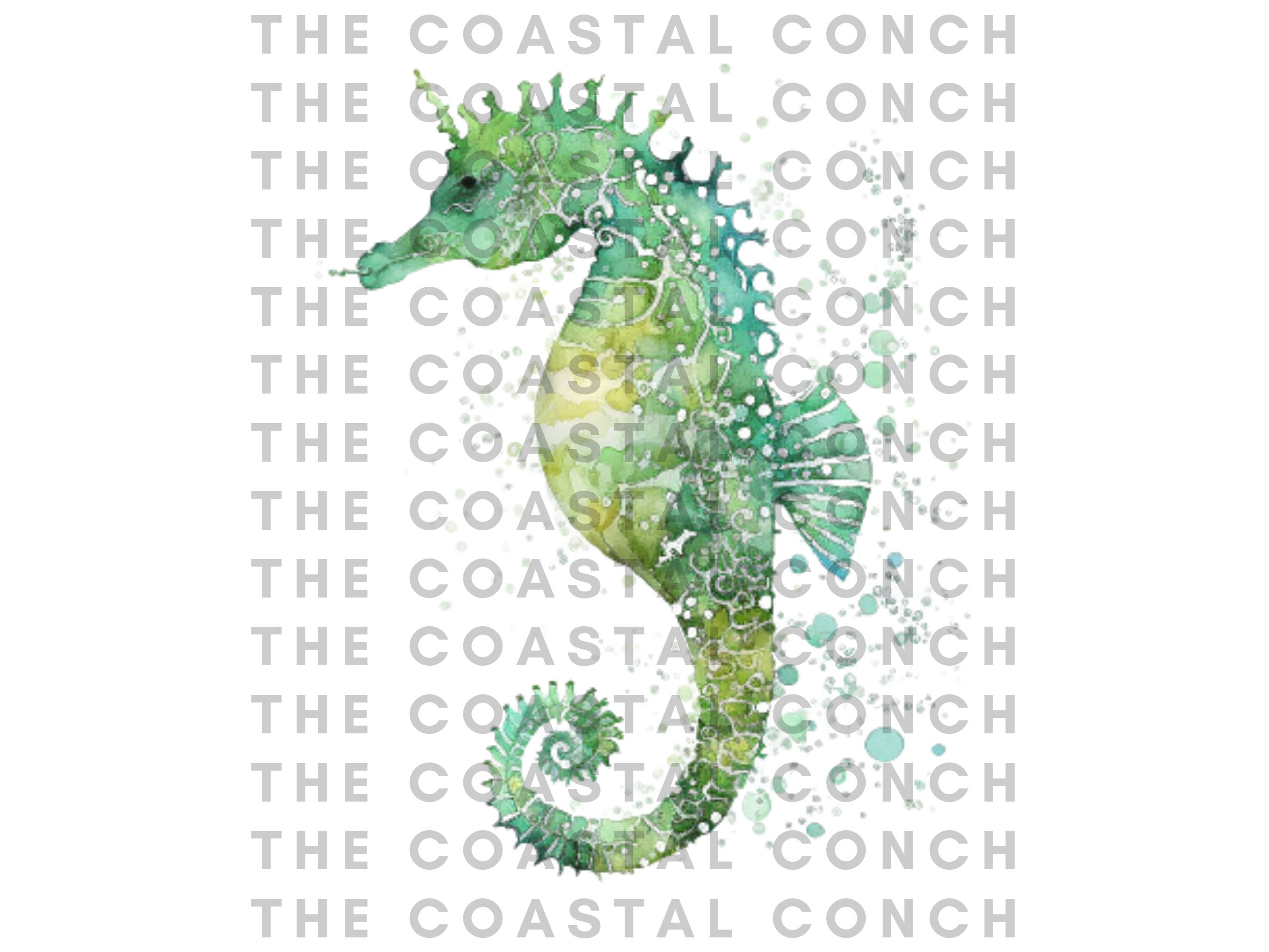 Nautical Watercolor Seahorse Clipart Transparent Background PNG ...