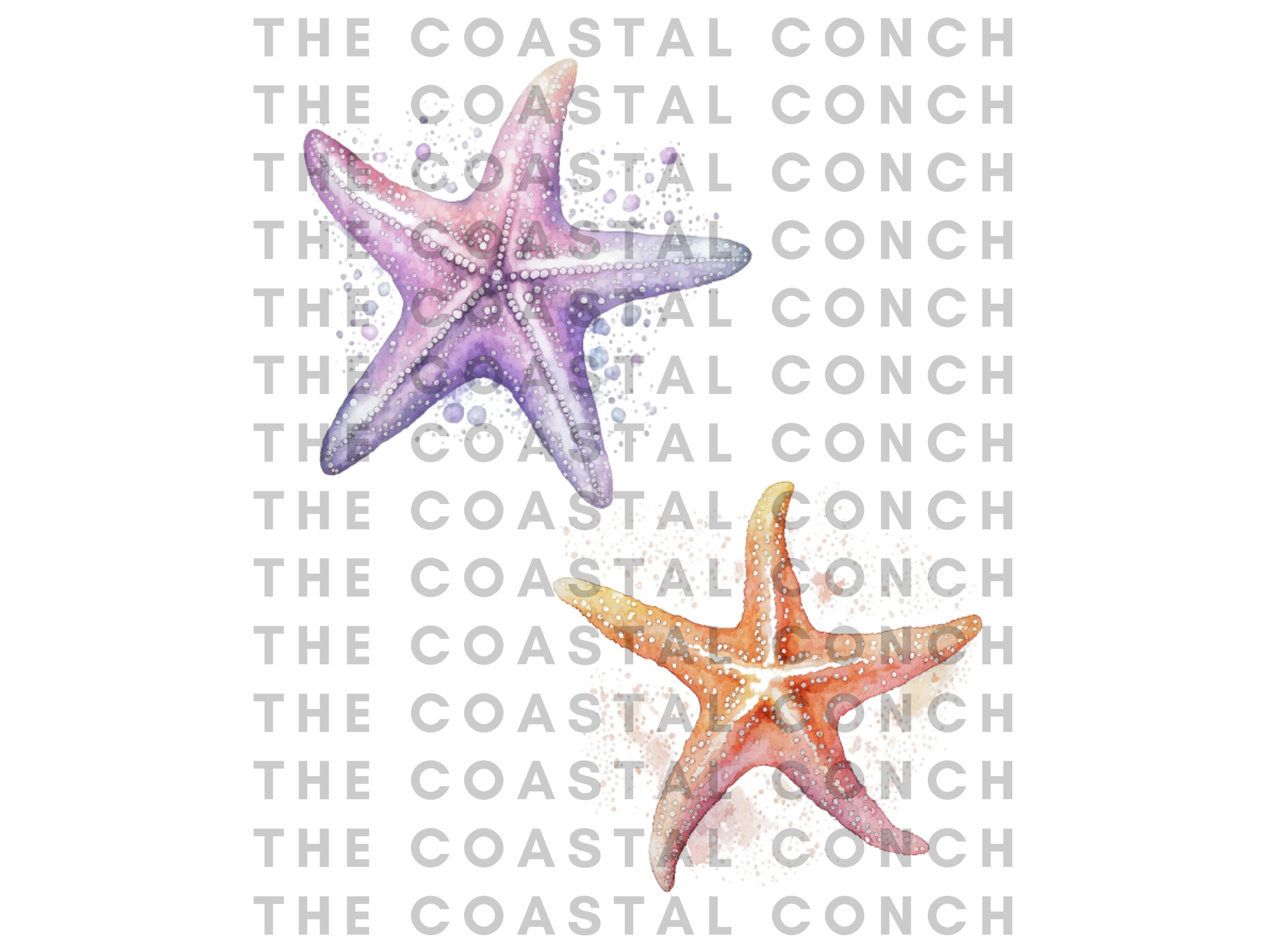 Colorful Watercolor Starfish Clipart- 20 Transparent Background PNG ...