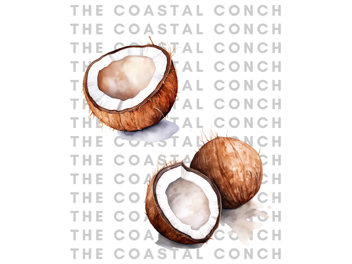 Tropical Watercolor Coconut Clipart- 10 Transparent Background PNG ...