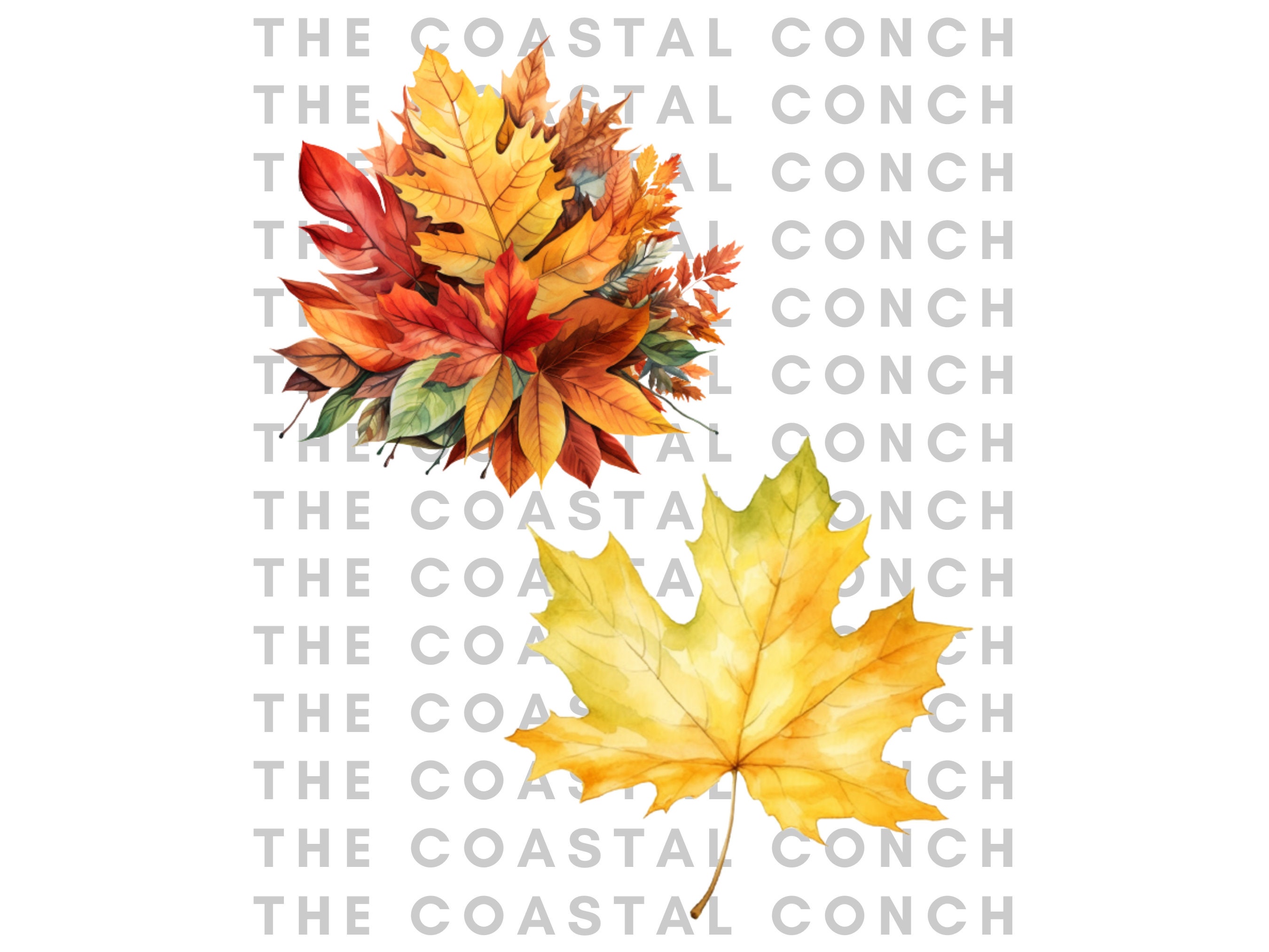 Autumn Watercolor Leaves Clipart- 20 Transparent Background PNG ...