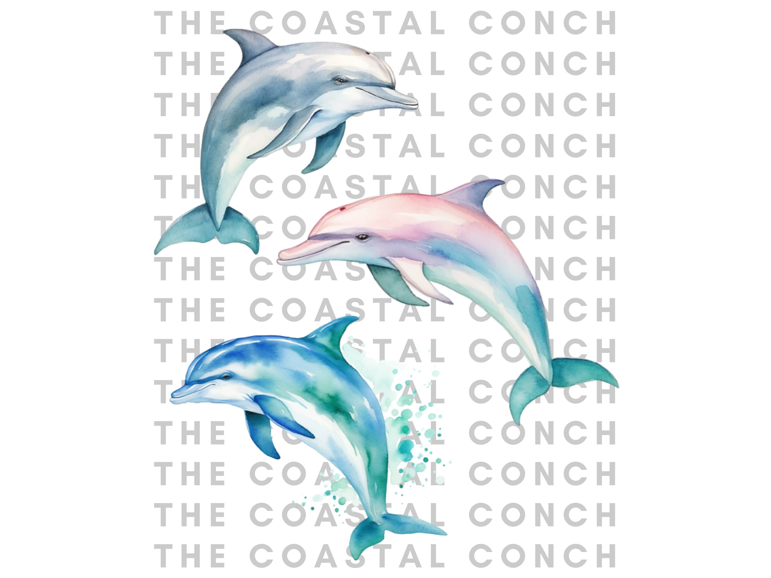 Colorful Watercolor Dolphin Clipart- 30 Transparent Background PNG ...