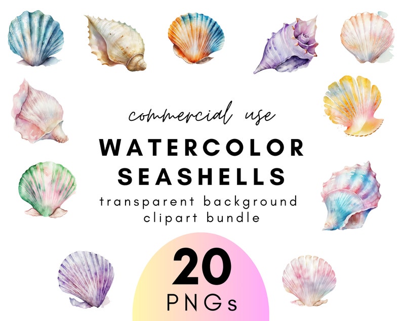 Coastal Watercolor Seashell Clipart- 20 Transparent Background PNG ...