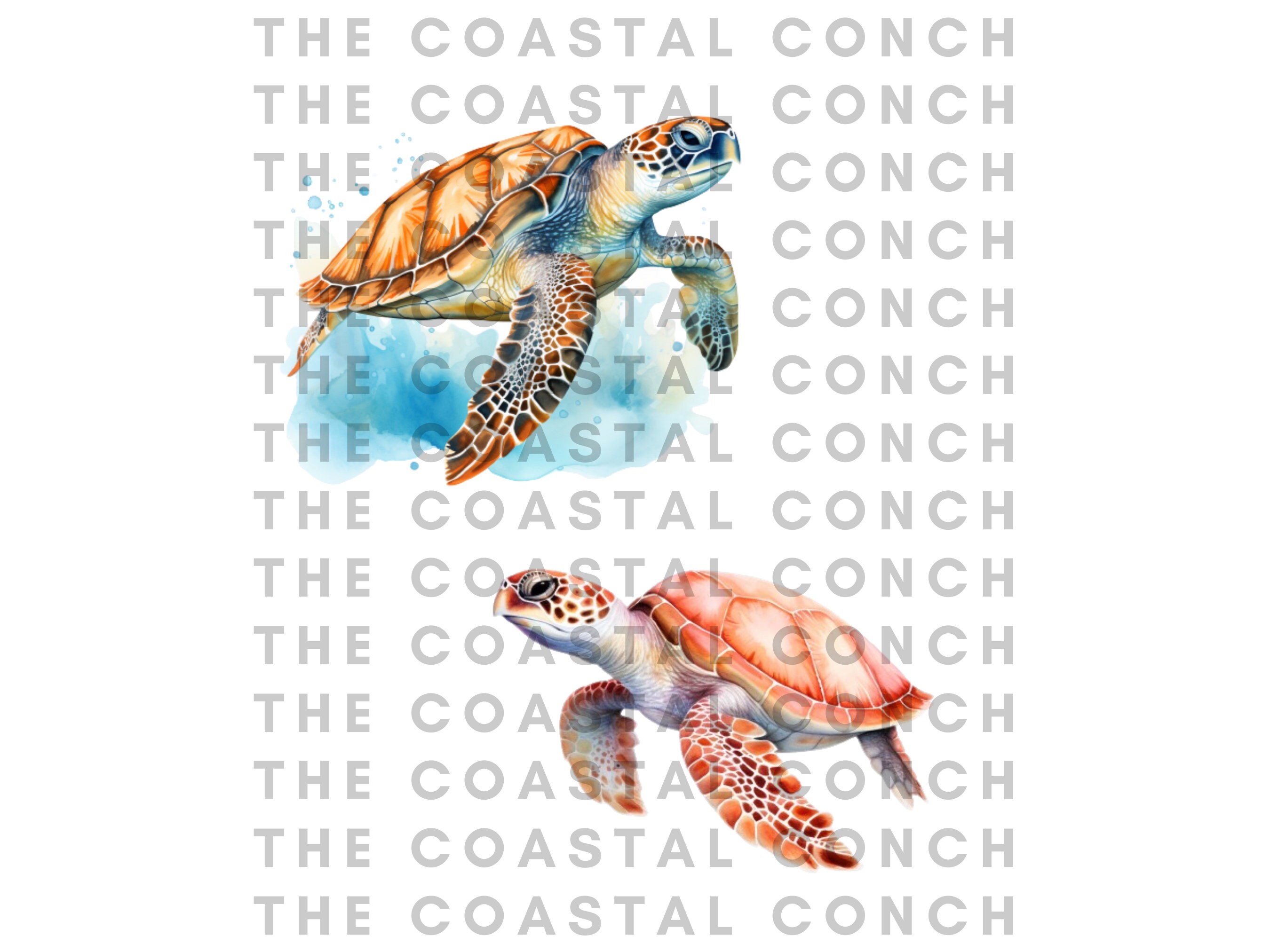 Cute Watercolor Sea Turtle Clipart 20 Transparent Background PNG ...