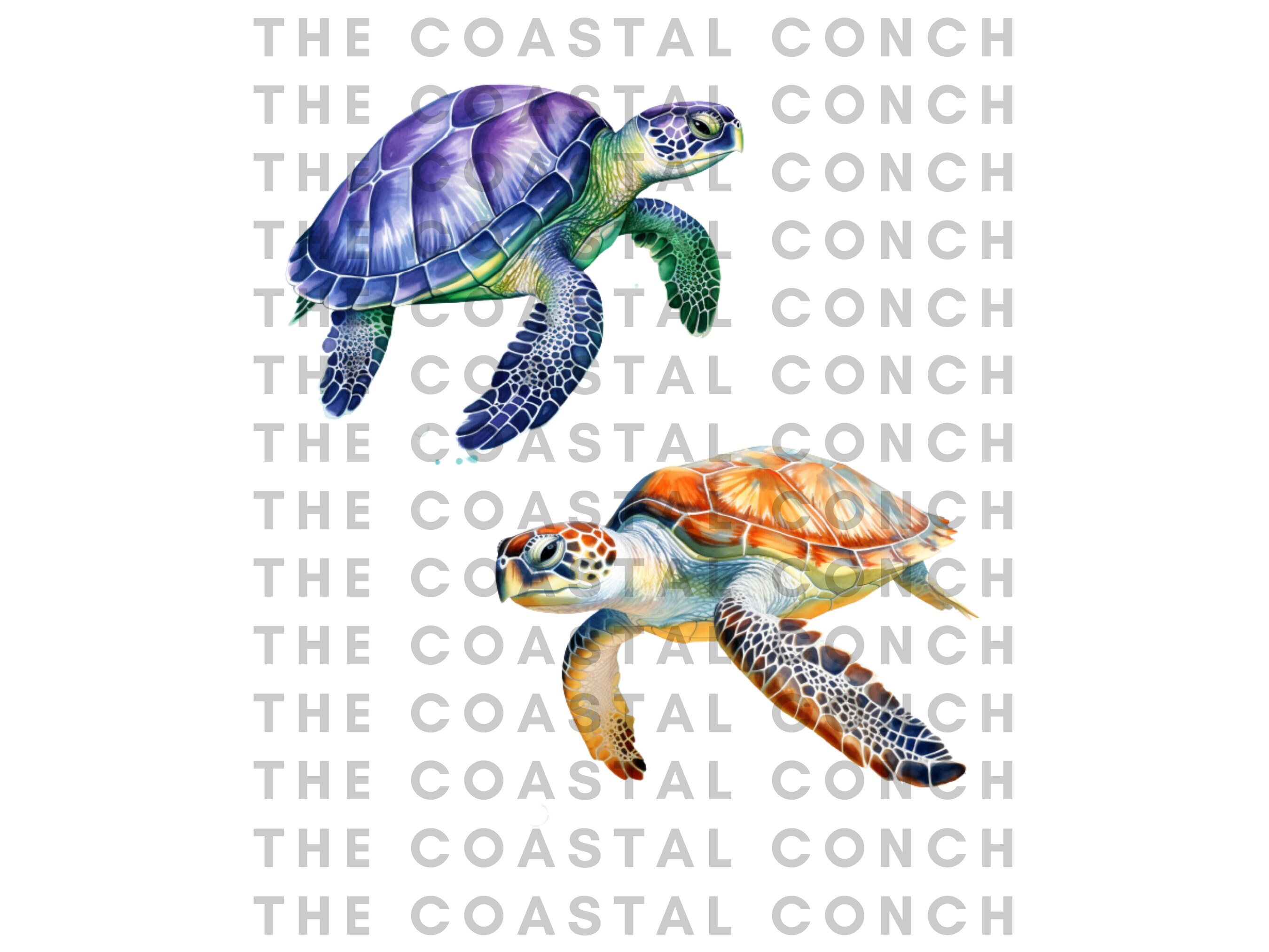 Cute Watercolor Sea Turtle Clipart 20 Transparent Background PNG ...