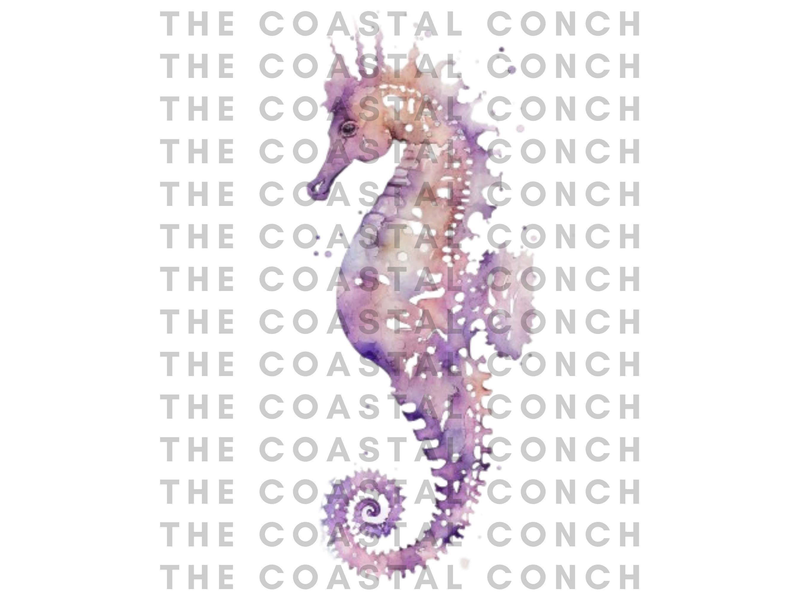 Nautical Watercolor Seahorse Clipart Transparent Background PNG ...
