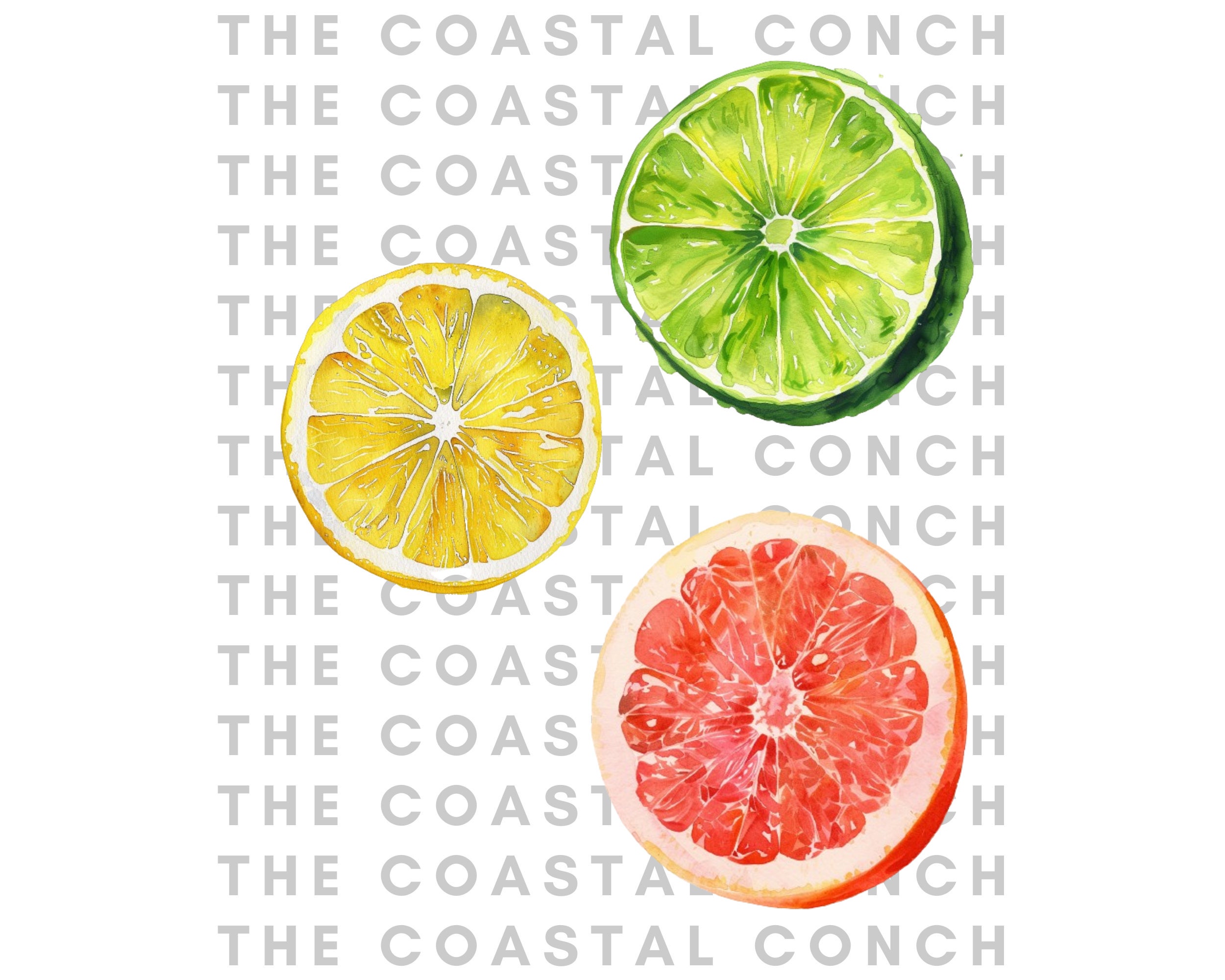 Colorful Watercolor Citrus Clipart- 20 Transparent Background PNG ...