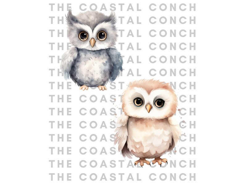 Cute Watercolor Owl Clipart- 20 Transparent Background PNG Commercial Use Instant Download - Etsy