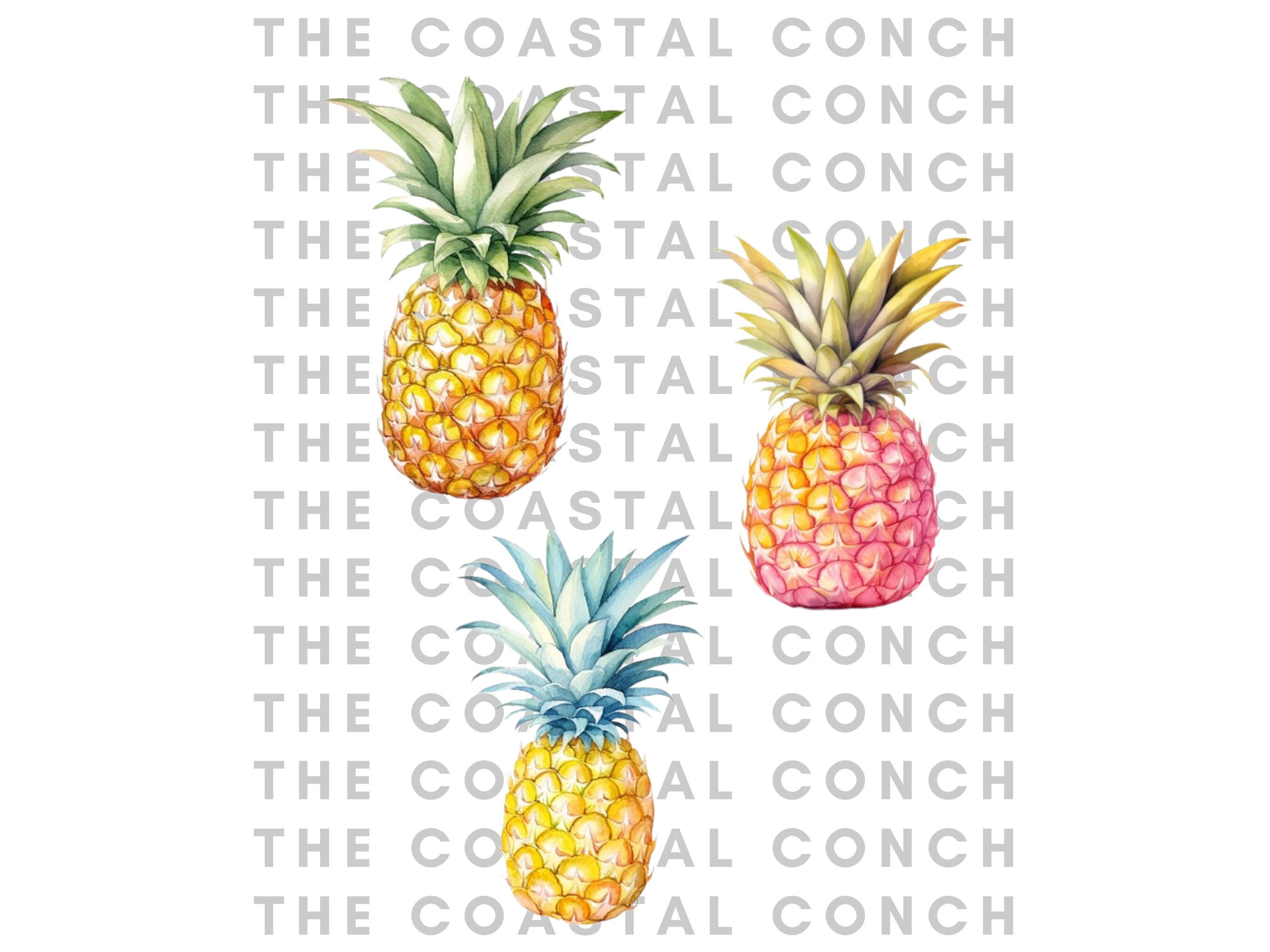 Fruity Watercolor Pineapple Clipart- 20 Transparent Background PNG ...