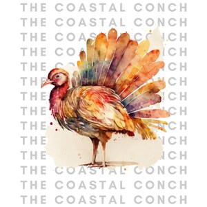 Watercolor Thanksgiving Turkey Clipart- 10 Transparent Background PNG ...