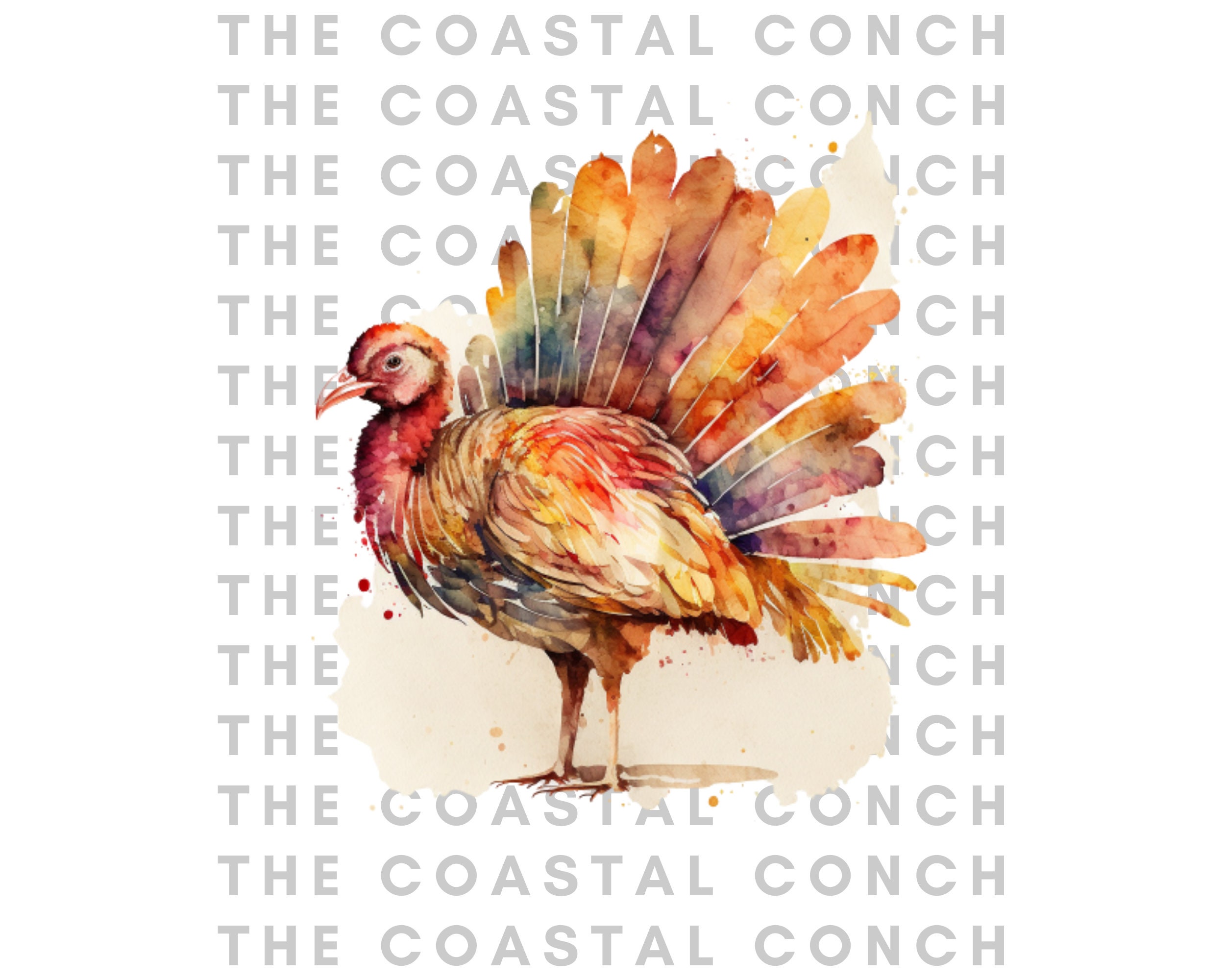 Watercolor Thanksgiving Turkey Clipart- 10 Transparent Background PNG ...