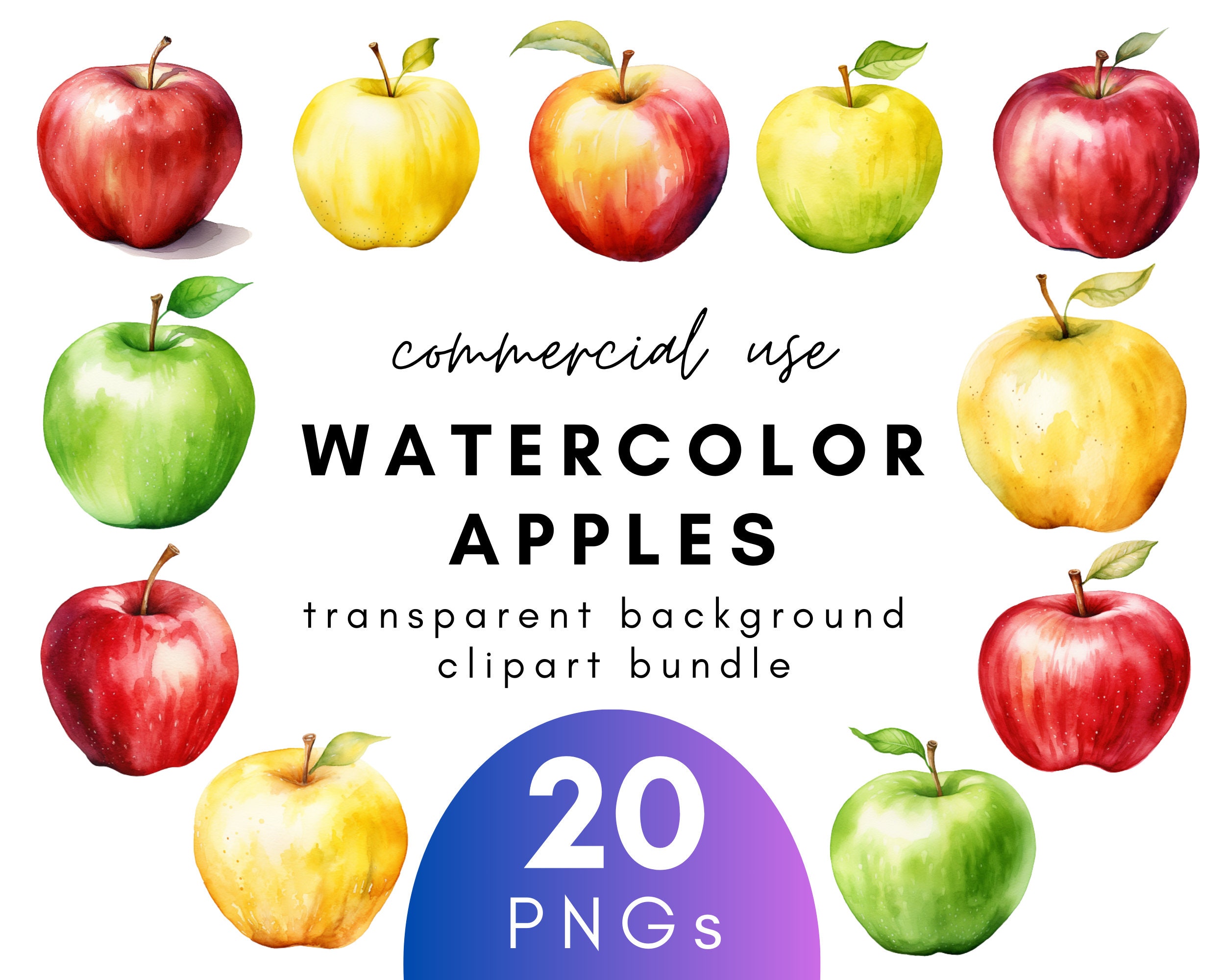 Autumn Watercolor Apple Clipart- 20 Transparent Background PNG ...