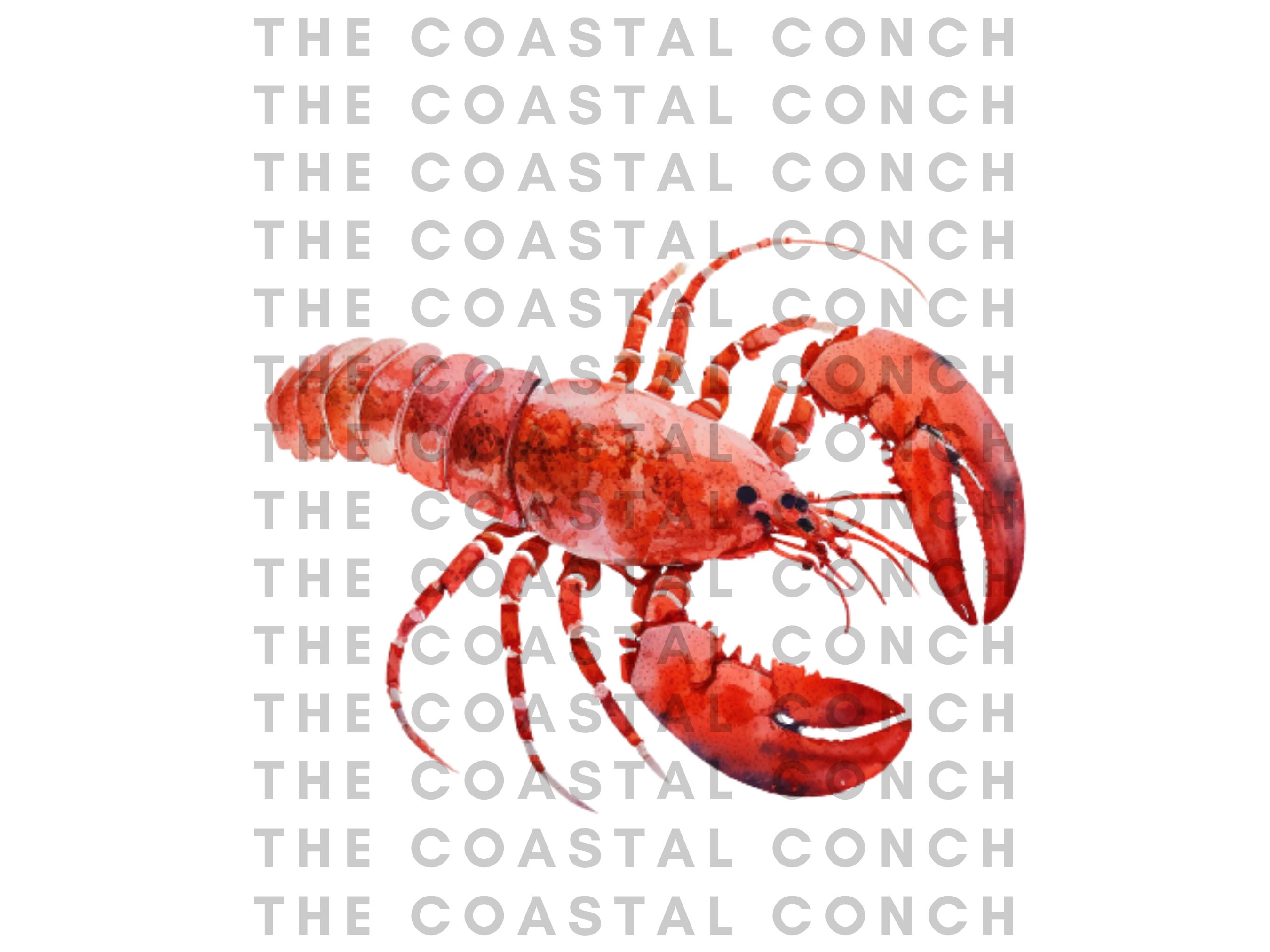 Nautical Watercolor Lobster Clipart- 10 Transparent Background PNG ...