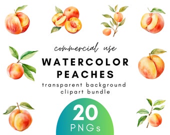 Watercolor Peaches Clipart. Fruit Clipart. PNG Format. Transparent ...