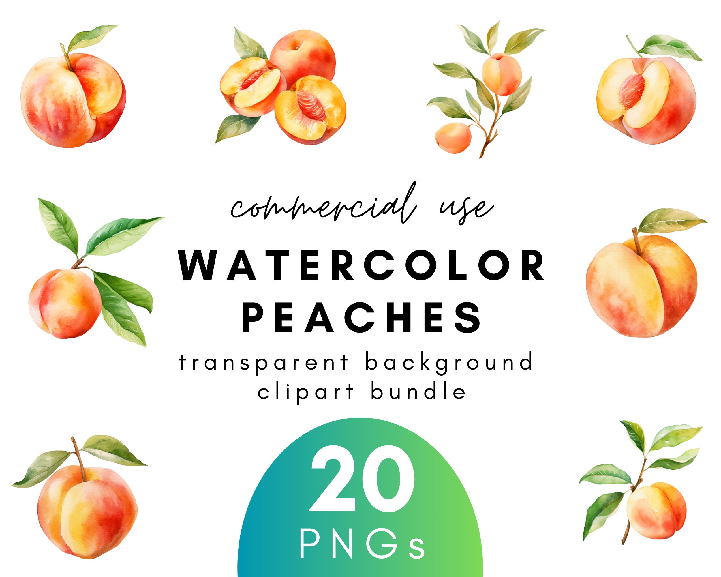 Fruity Watercolor Peach Clipart- 20 Transparent Background PNG ...
