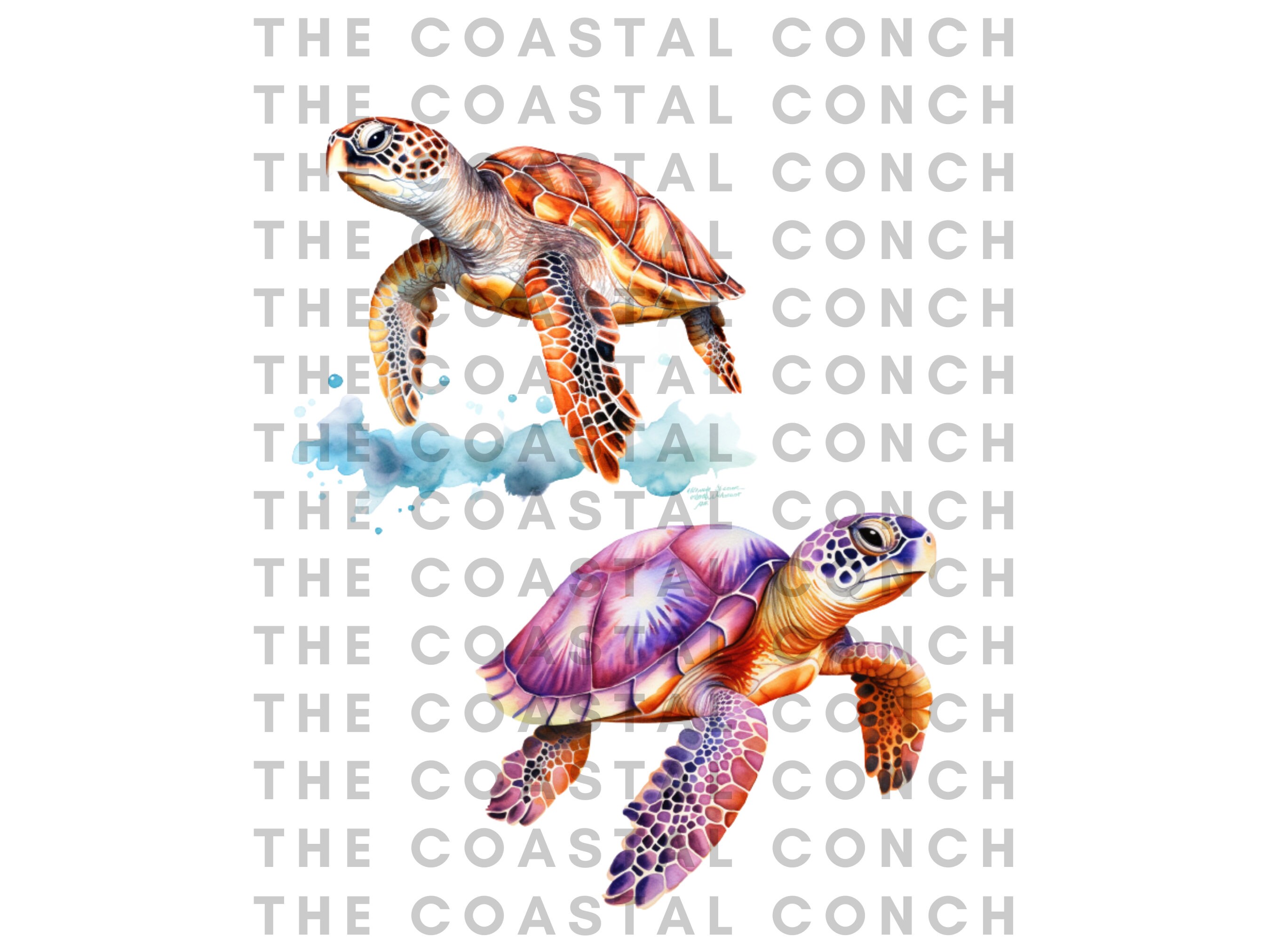 Cute Watercolor Sea Turtle Clipart- 20 Transparent Background PNG ...