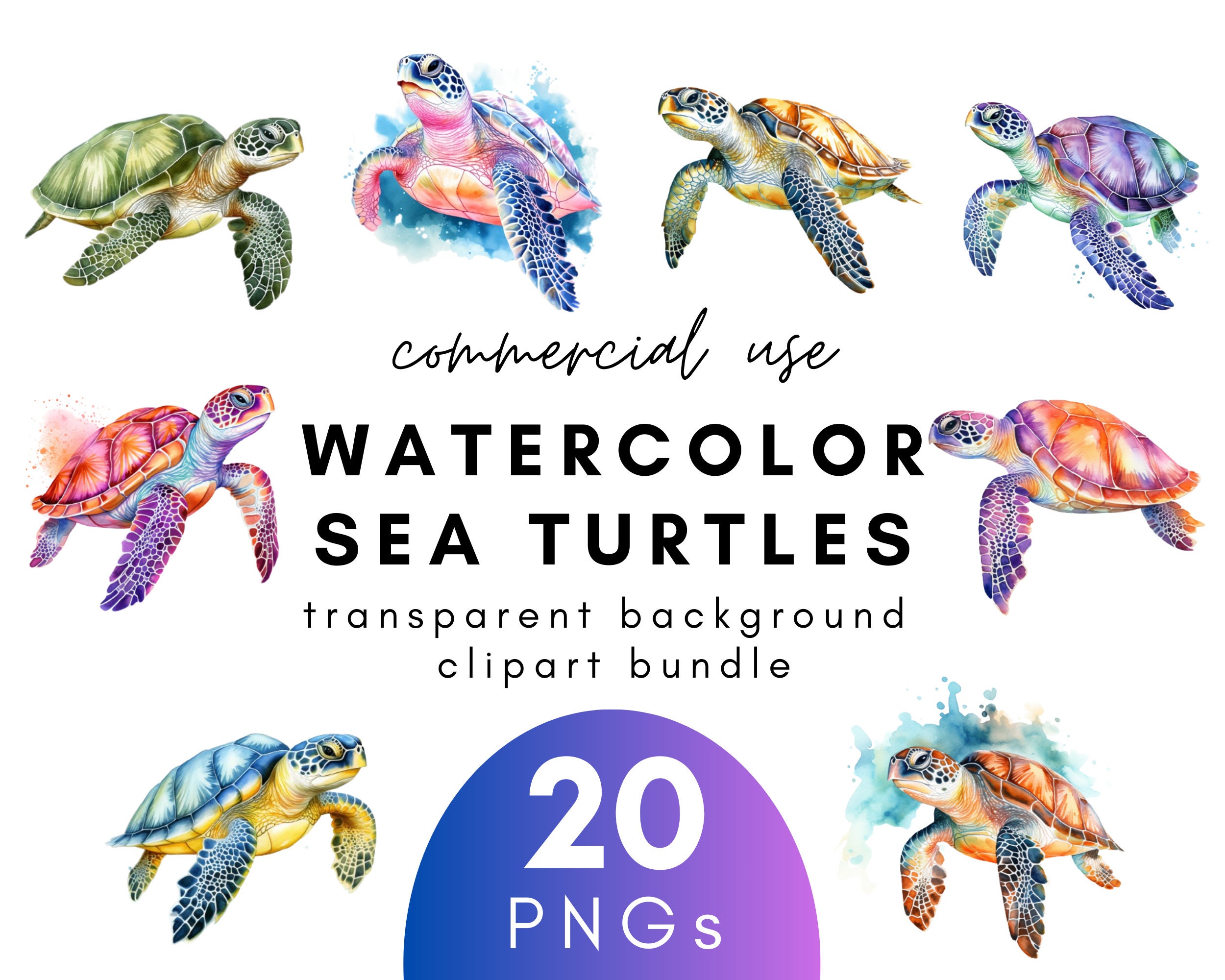 Cute Watercolor Sea Turtle Clipart 20 Transparent Background PNG ...