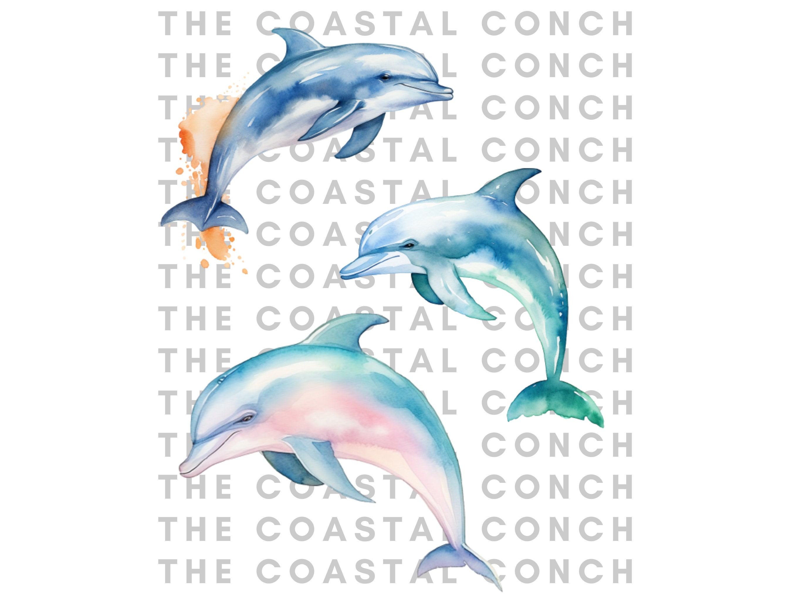 Colorful Watercolor Dolphin Clipart- 30 Transparent Background PNG ...