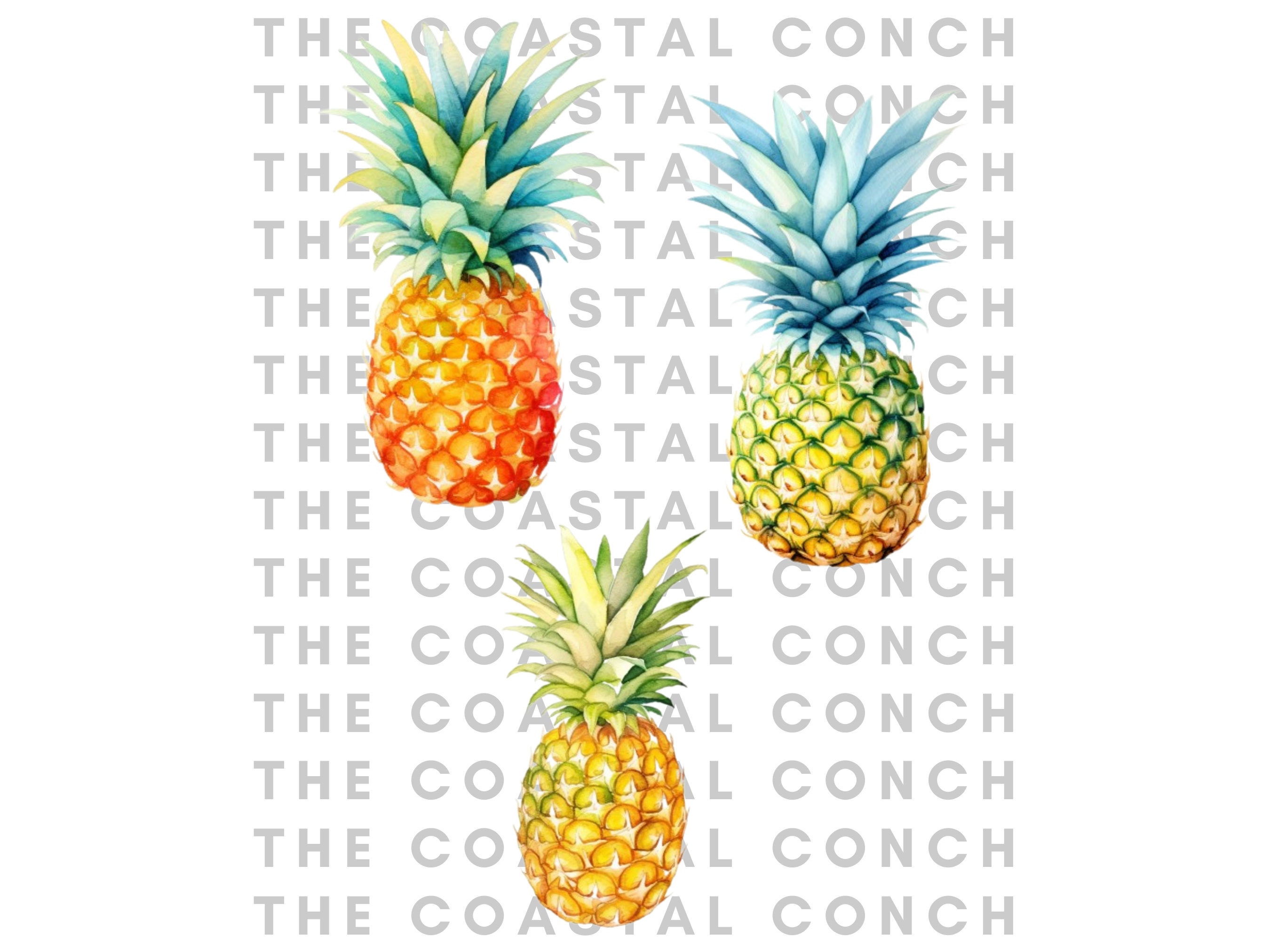 Fruity Watercolor Pineapple Clipart- 20 Transparent Background PNG ...