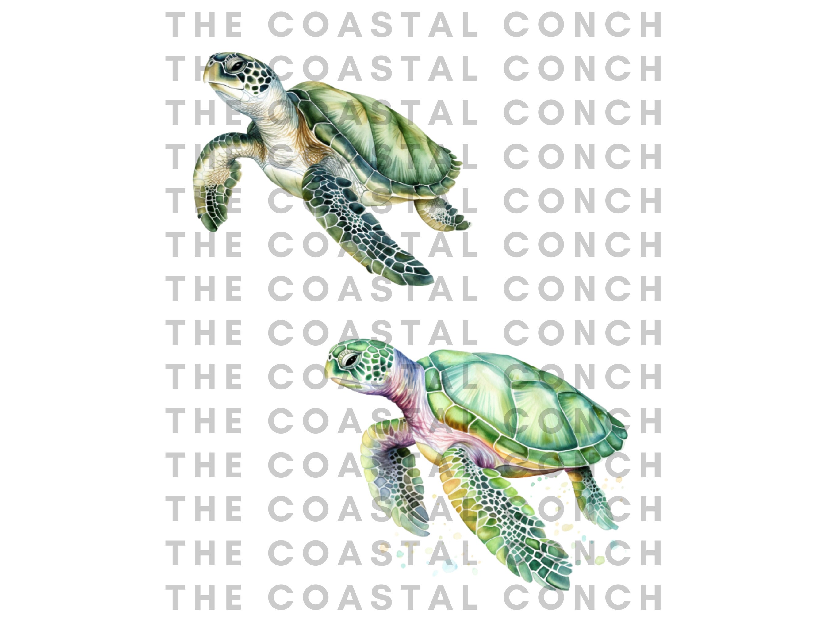 Cute Watercolor Sea Turtle Clipart 20 Transparent Background PNG ...