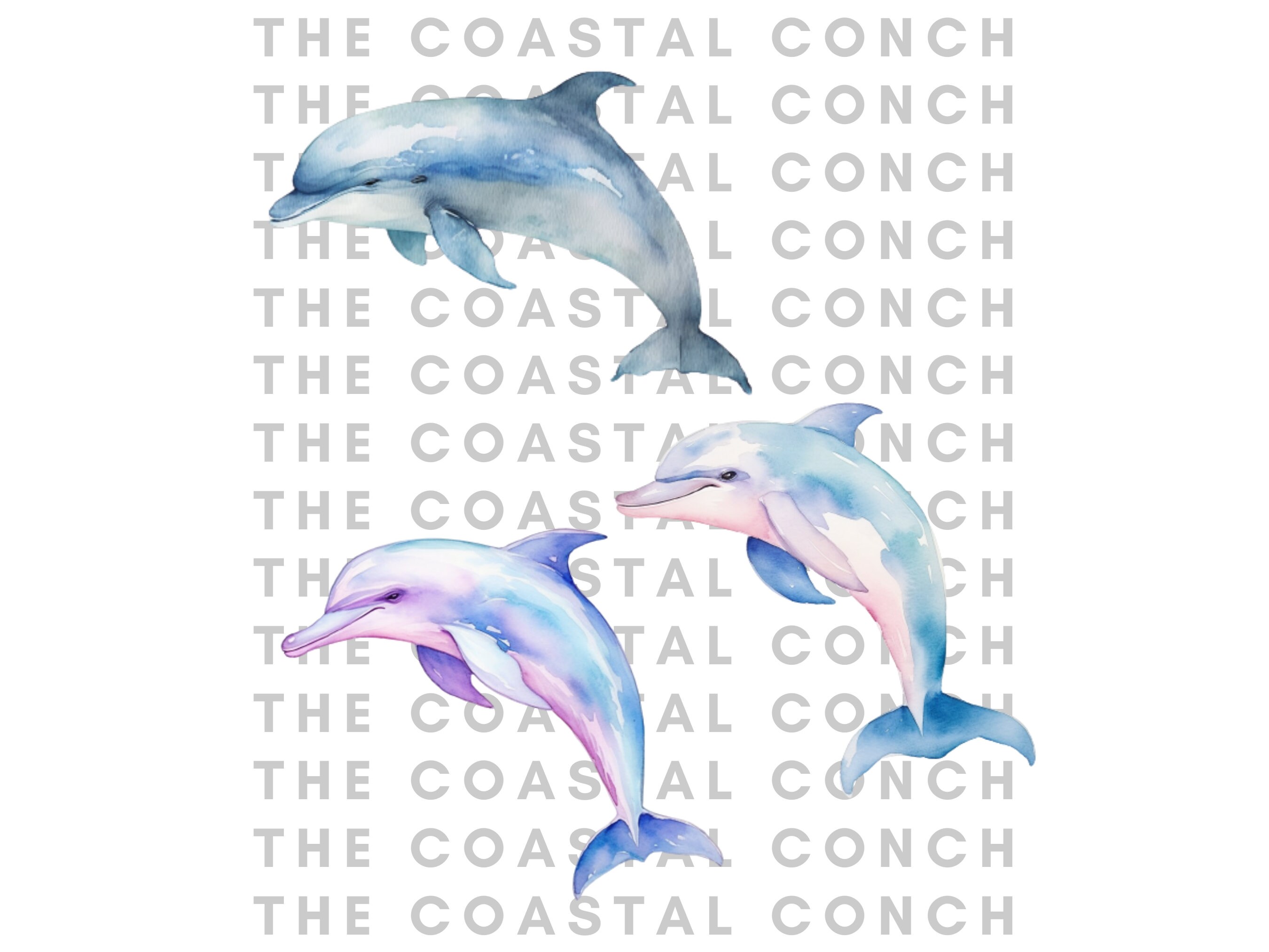 Colorful Watercolor Dolphin Clipart- 30 Transparent Background PNG ...