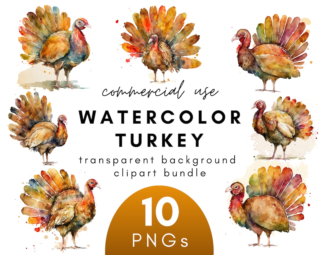 Watercolor Thanksgiving Turkey Clipart- 10 Transparent Background PNG ...